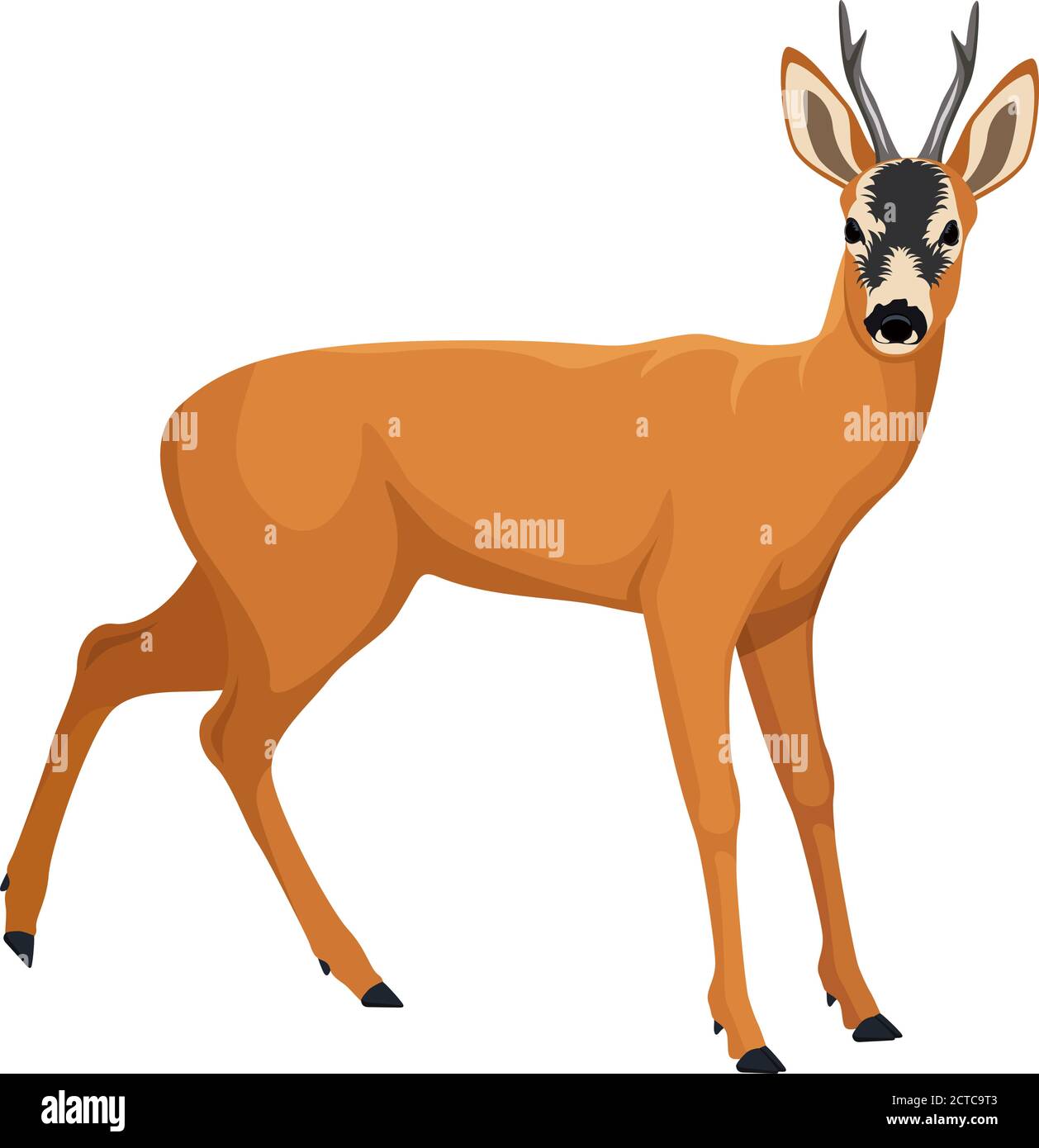 Woodland clearing Stock-Vektorgrafiken kaufen - Alamy