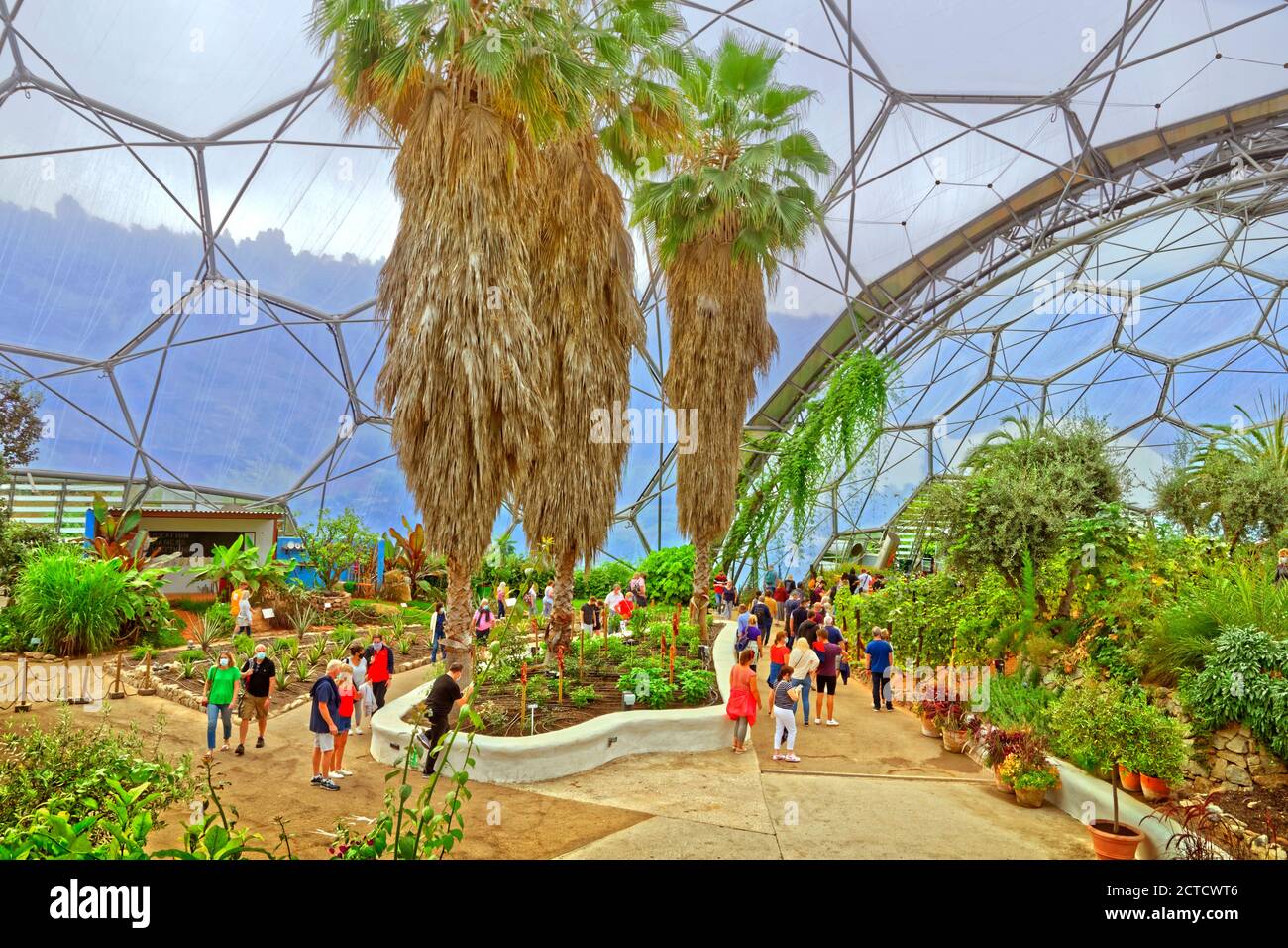 Mediterranes Biom im Eden Project, Bodelva bei St. Austell, Cornwall ...