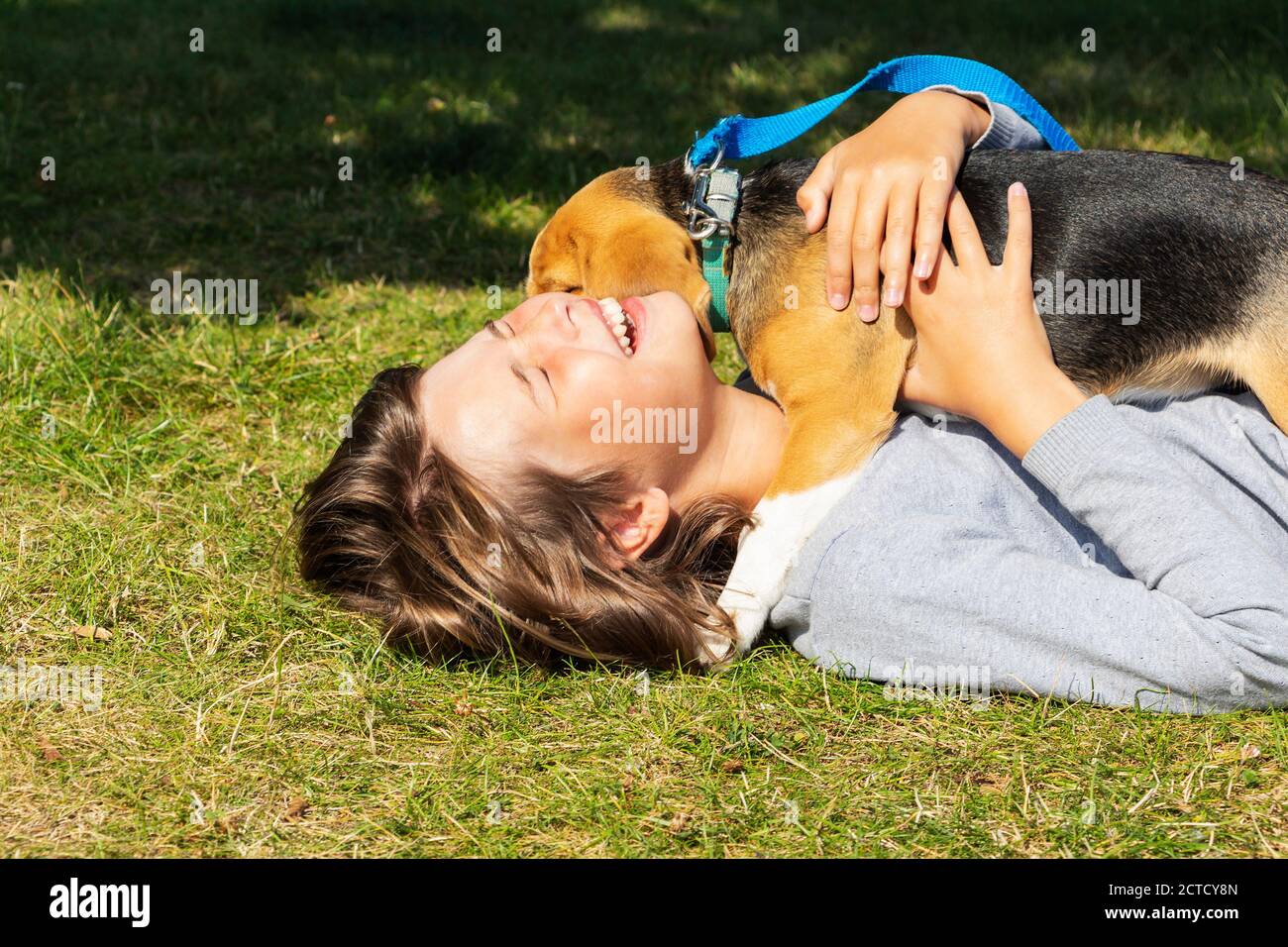 Hund hunde leckt gesicht -Fotos und -Bildmaterial in hoher Auflösung ...