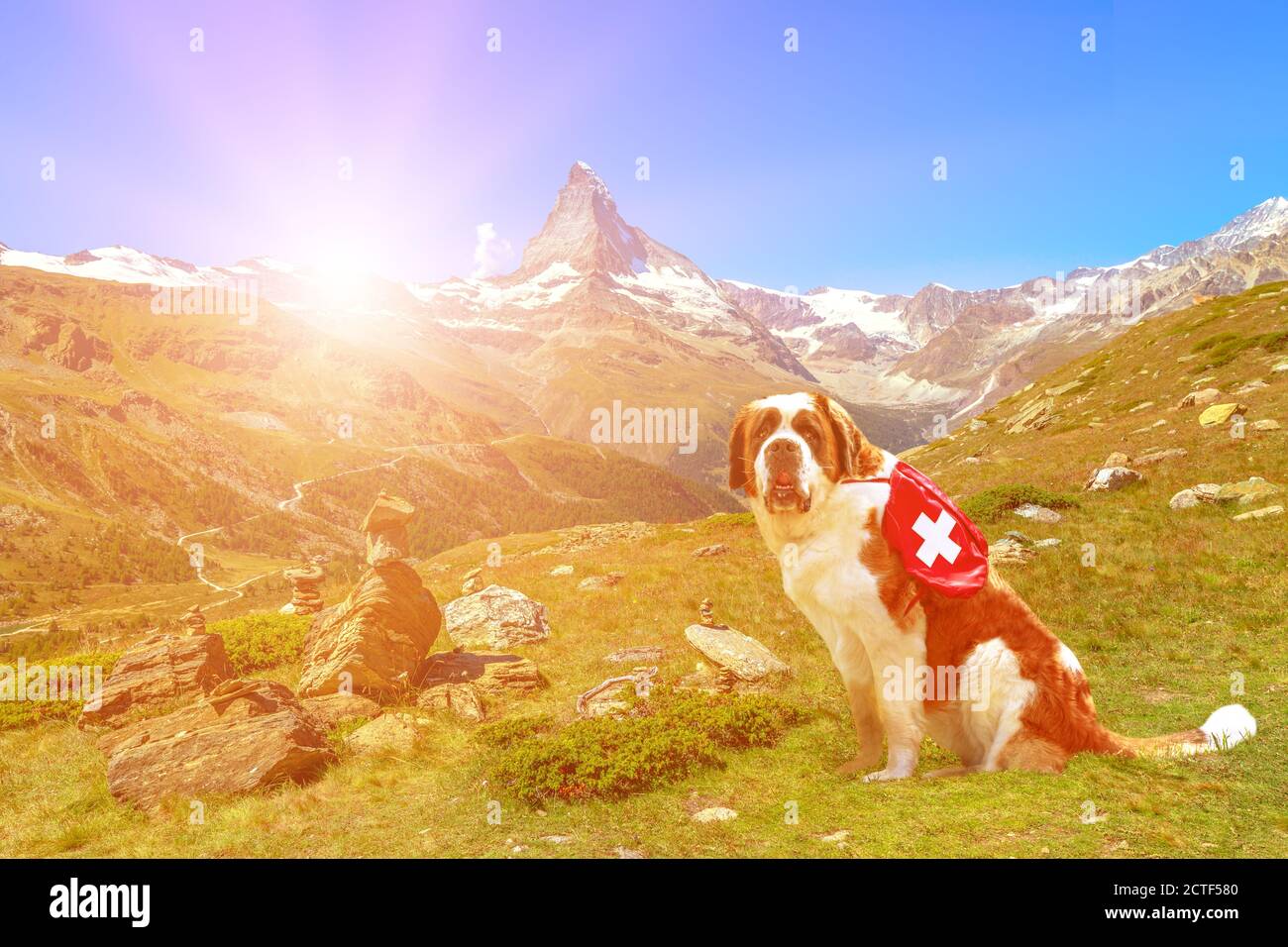 Schweizer hund in der schweiz -Fotos und -Bildmaterial in hoher ...