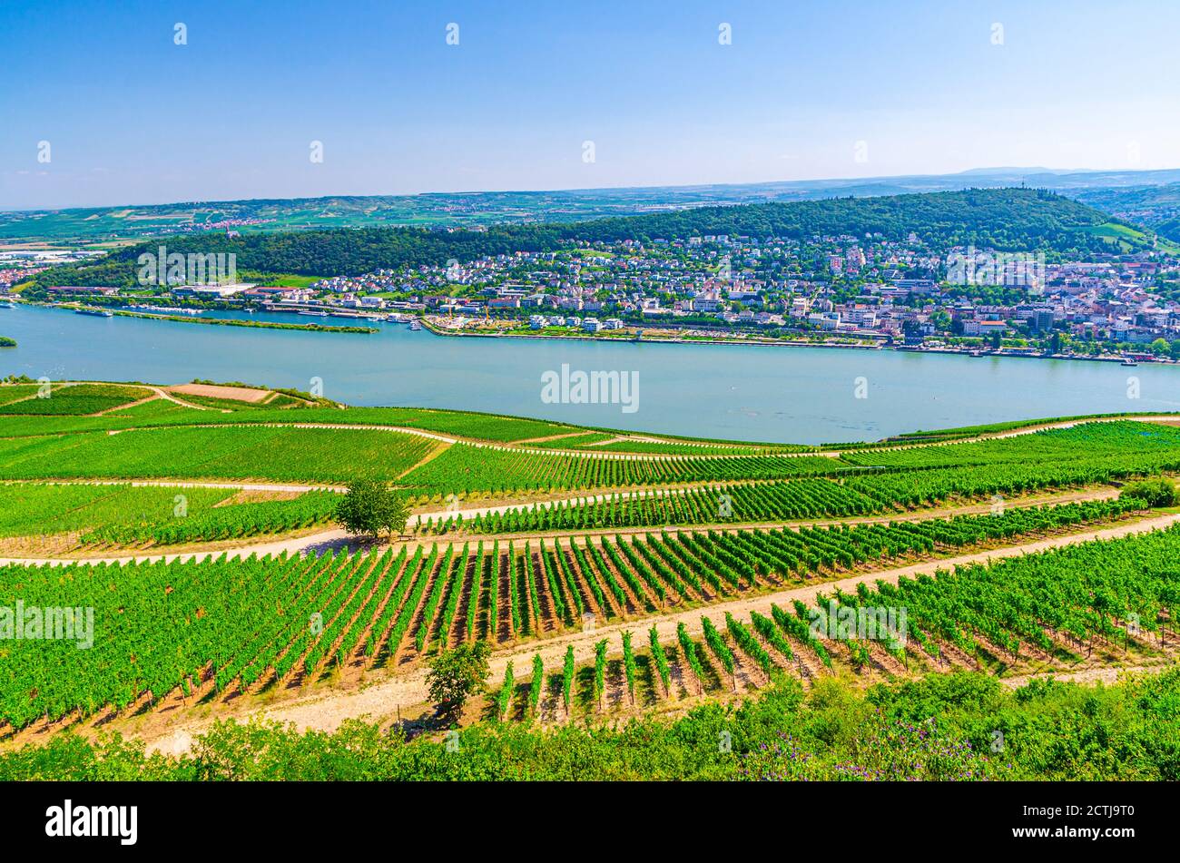 Luftpanorama der Rheinschlucht oder Obermittelrheintal Weinbauregion ...