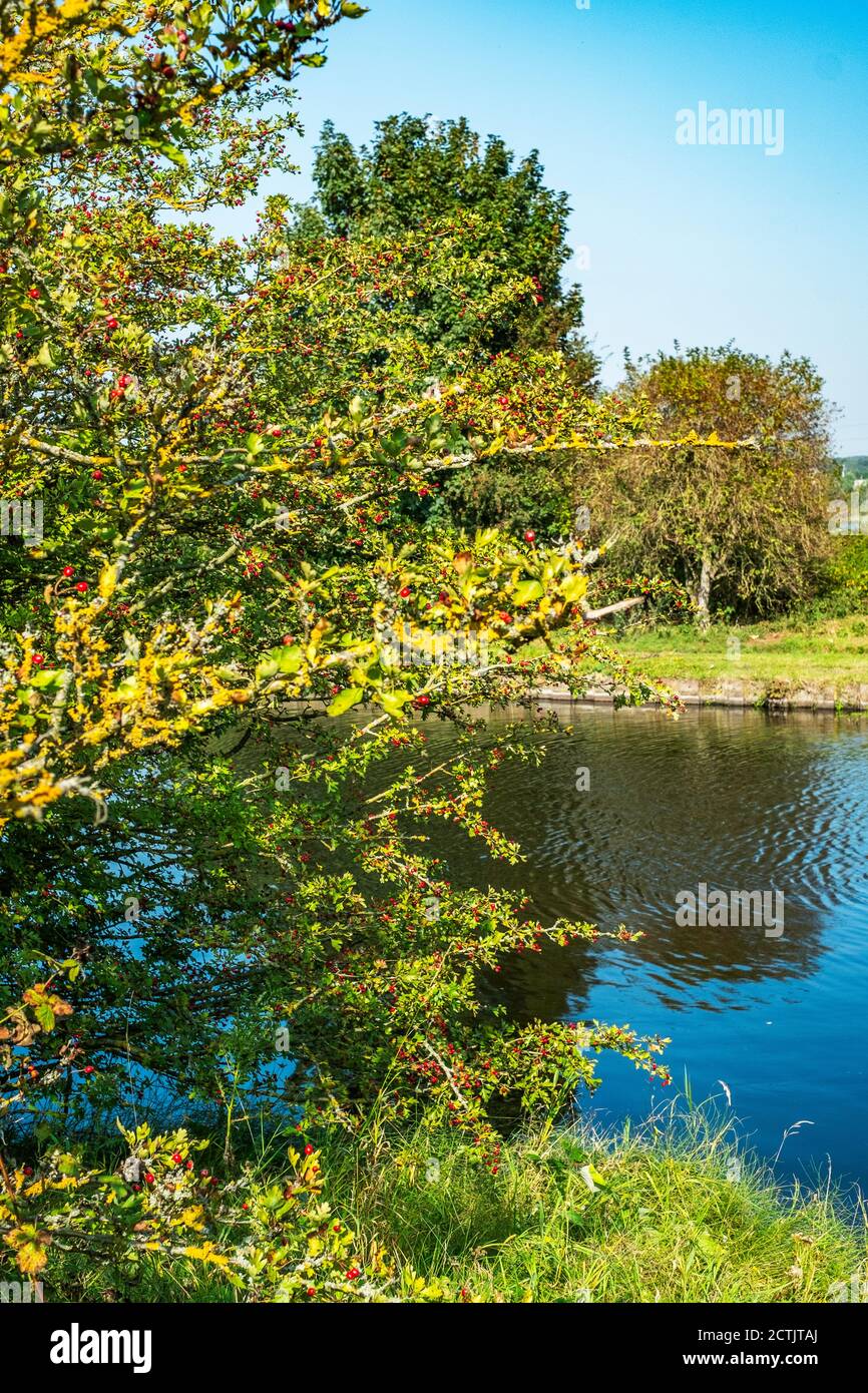 Fanny pit wheel -Fotos und -Bildmaterial in hoher Auflösung – Alamy
