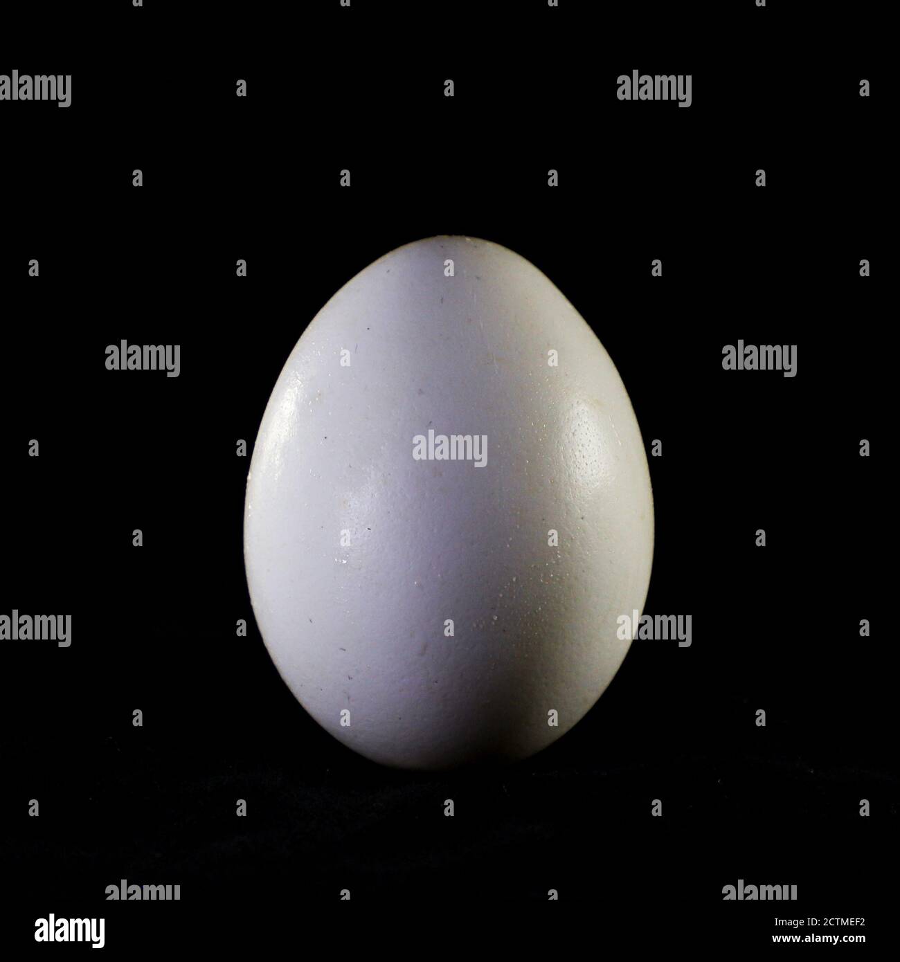Ei foto -Fotos und -Bildmaterial in hoher Auflösung – Alamy