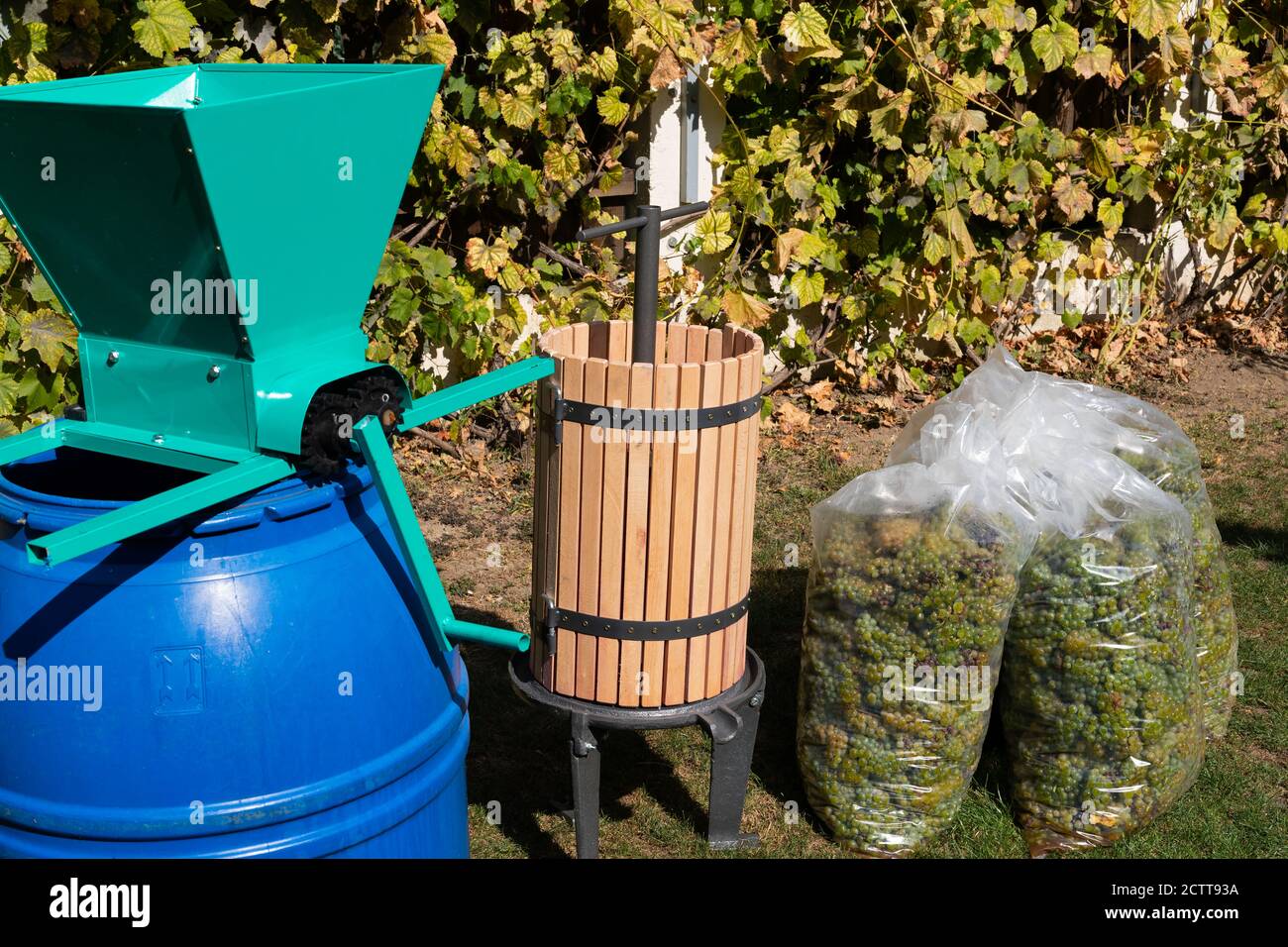 Traditional wine making -Fotos und -Bildmaterial in hoher Auflösung – Alamy