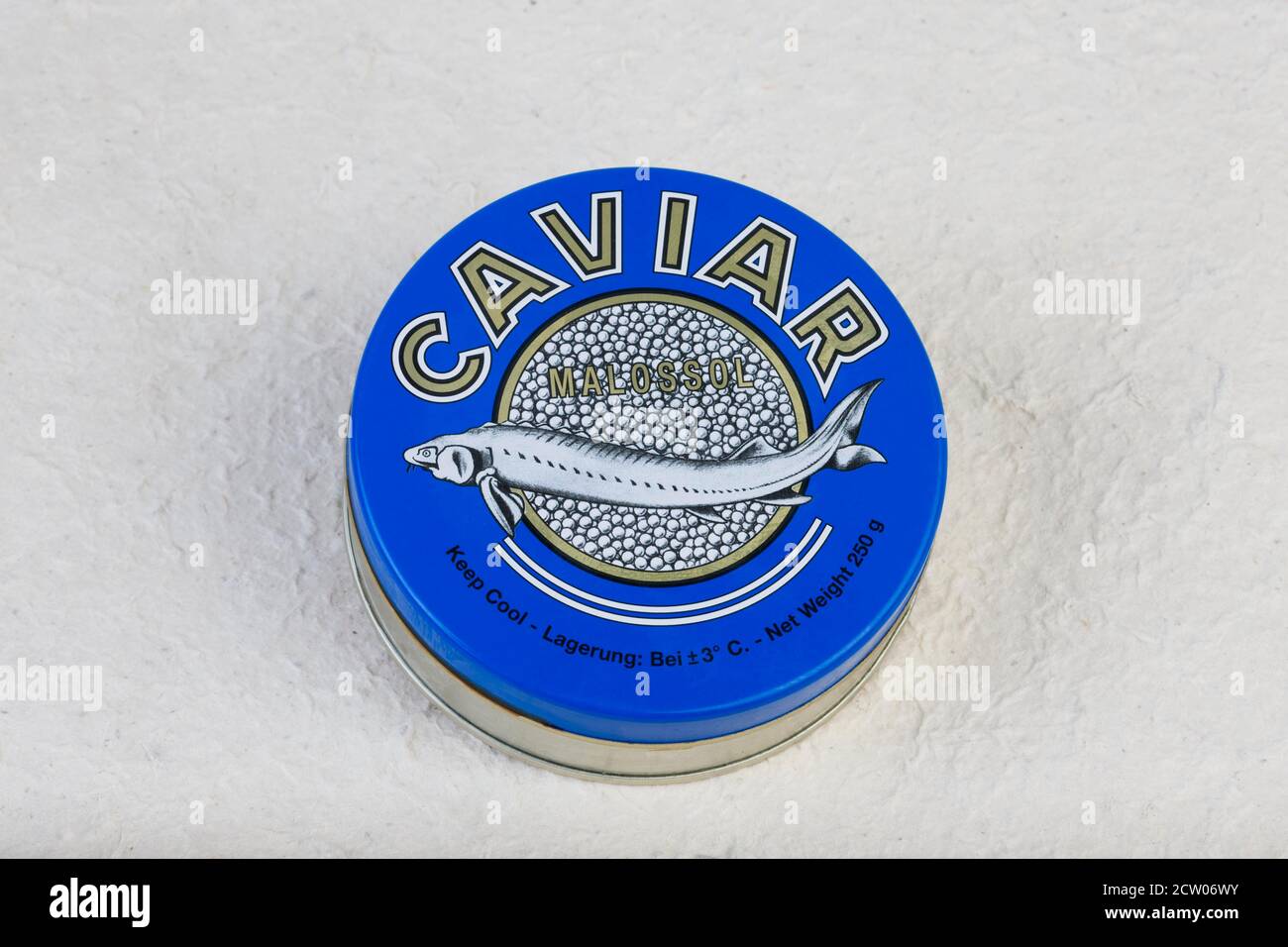 Acipenser sp -Fotos und -Bildmaterial in hoher Auflösung – Alamy