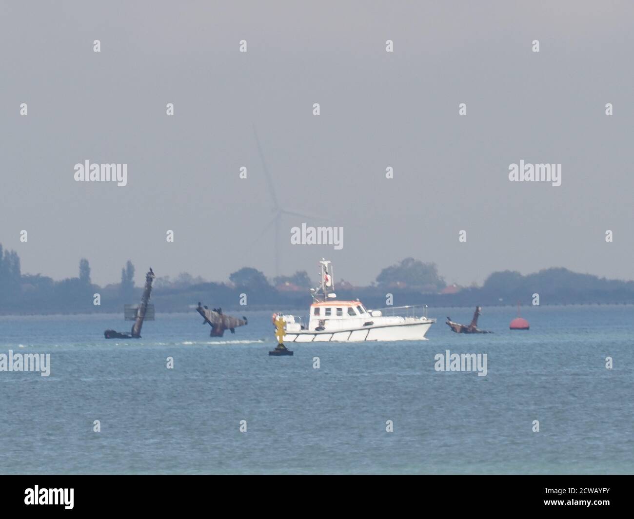 Two egs -Fotos und -Bildmaterial in hoher Auflösung – Alamy