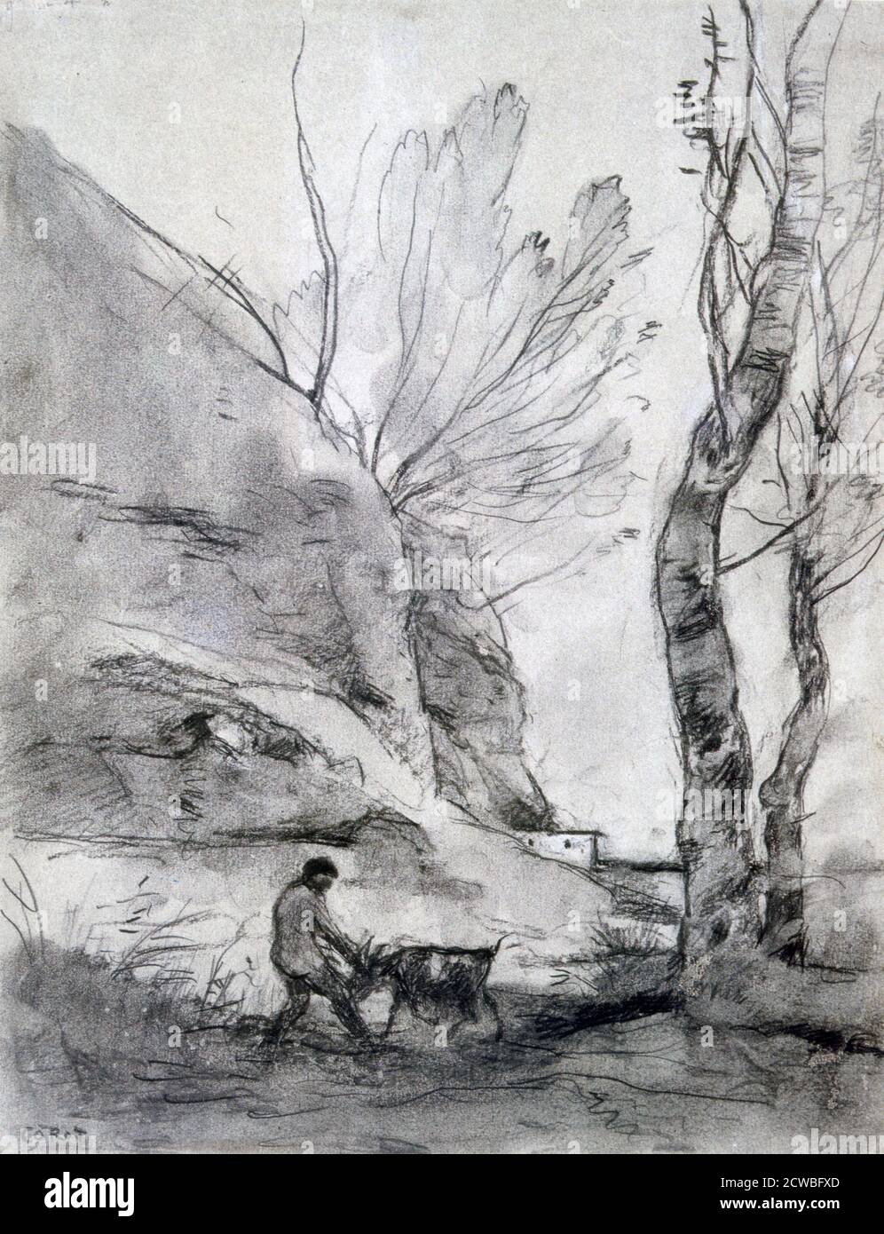 Realism drawing animal -Fotos und -Bildmaterial in hoher Auflösung – Alamy