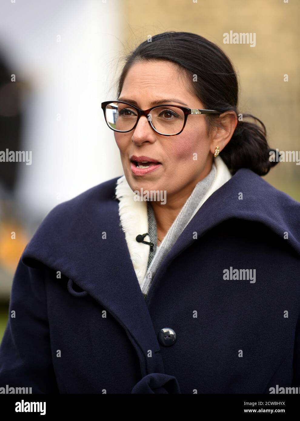 Priti sushil patel -Fotos und -Bildmaterial in hoher Auflösung – Alamy