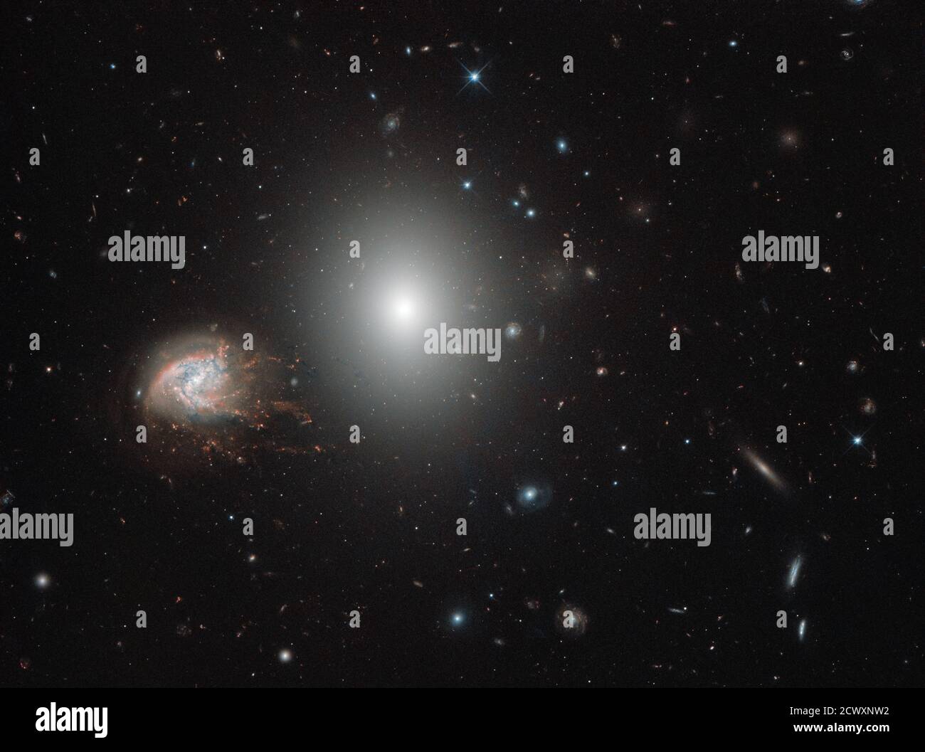 Der Coma-Cluster, der sich im nördlichen Sternbild Coma Berenices befindet, enthält Tausende von ...