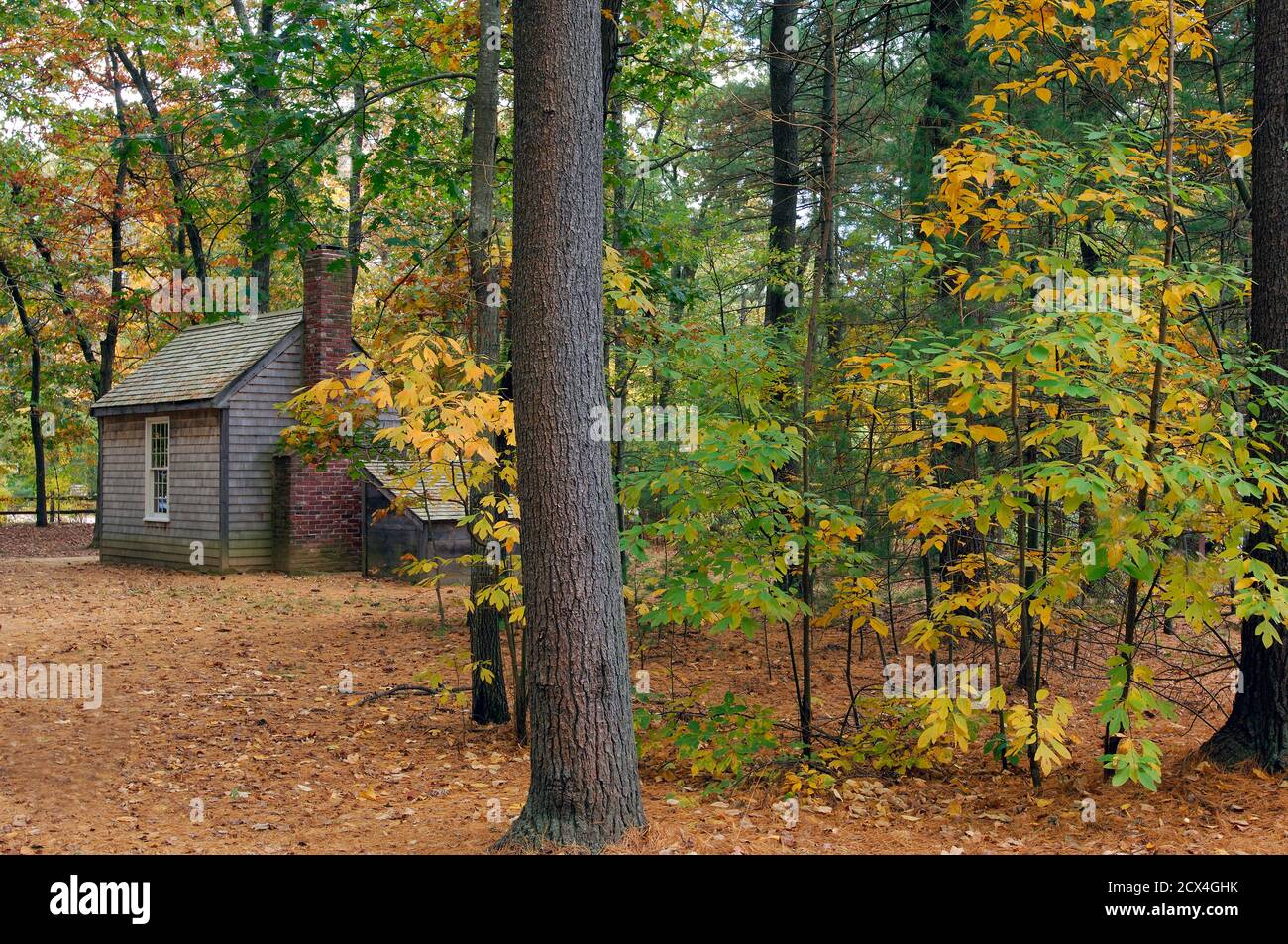 Thoreau cabin -Fotos und -Bildmaterial in hoher Auflösung – Alamy
