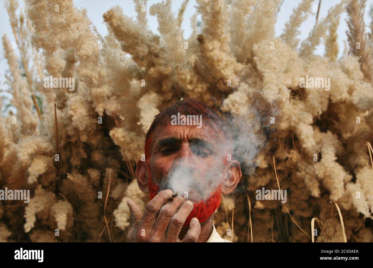 Bidi indian cigarette -Fotos und -Bildmaterial in hoher Auflösung – Alamy