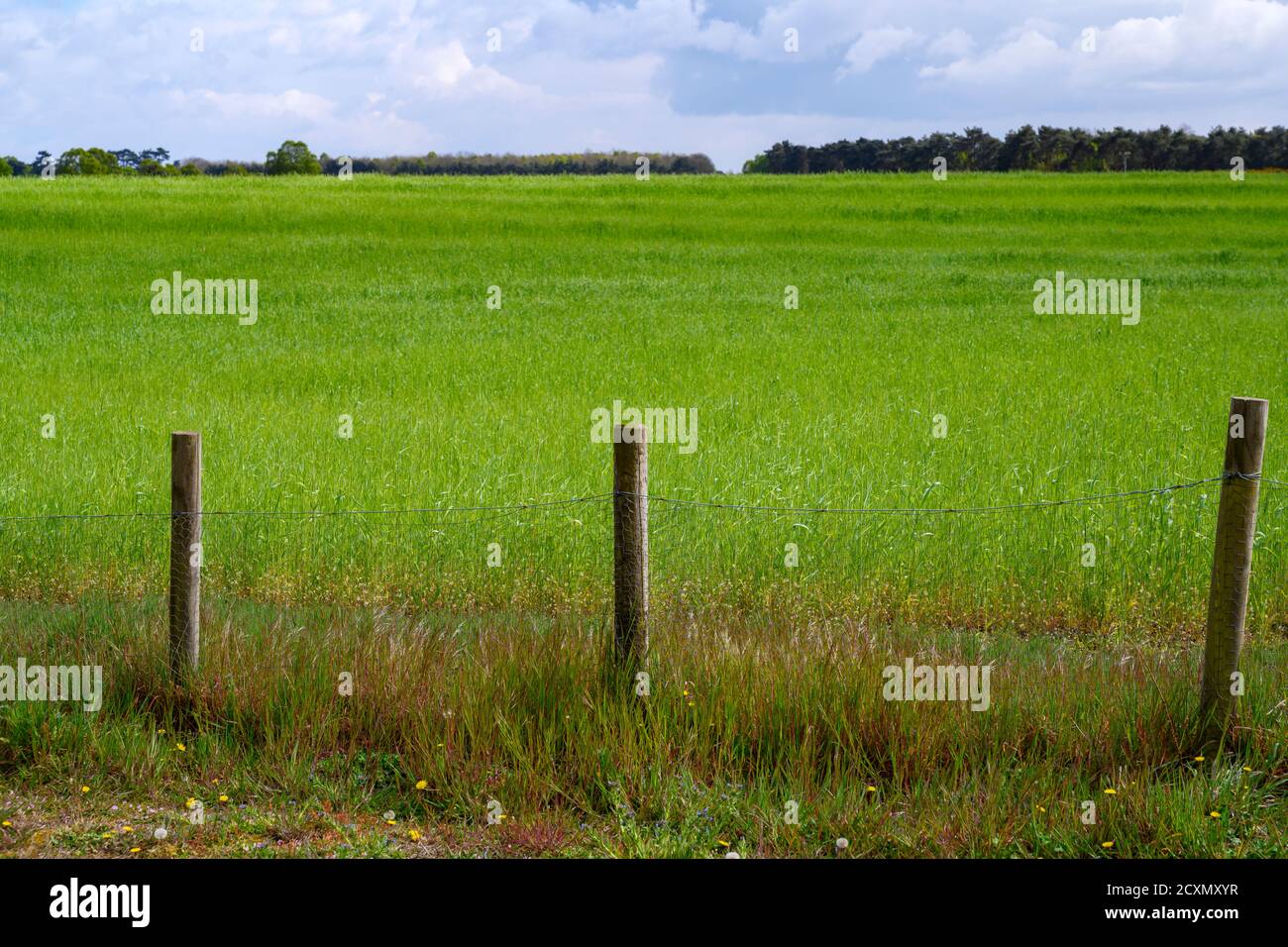Getreide ackerland -Fotos und -Bildmaterial in hoher Auflösung – Alamy