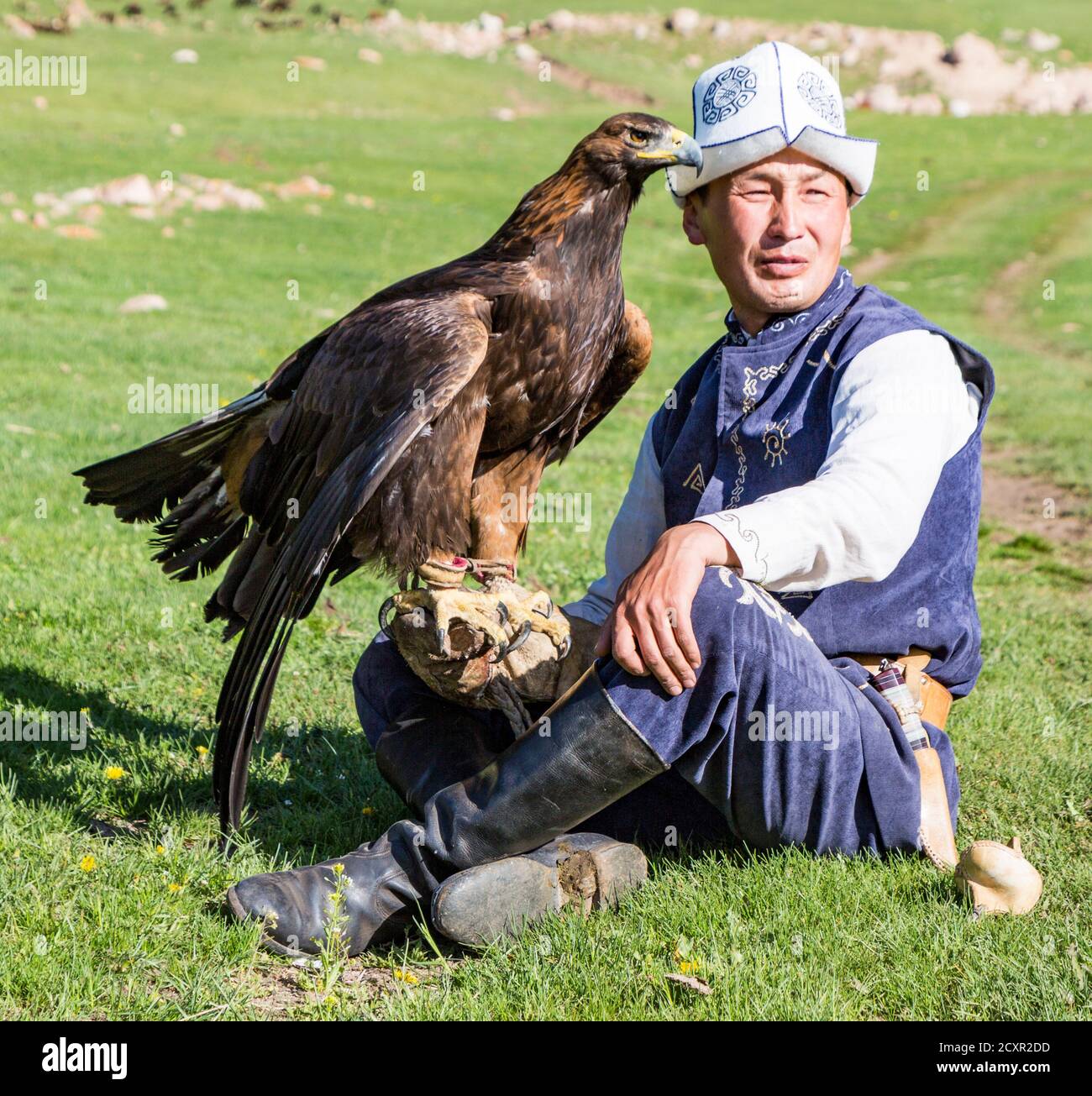 Adler am arm -Fotos und -Bildmaterial in hoher Auflösung – Alamy