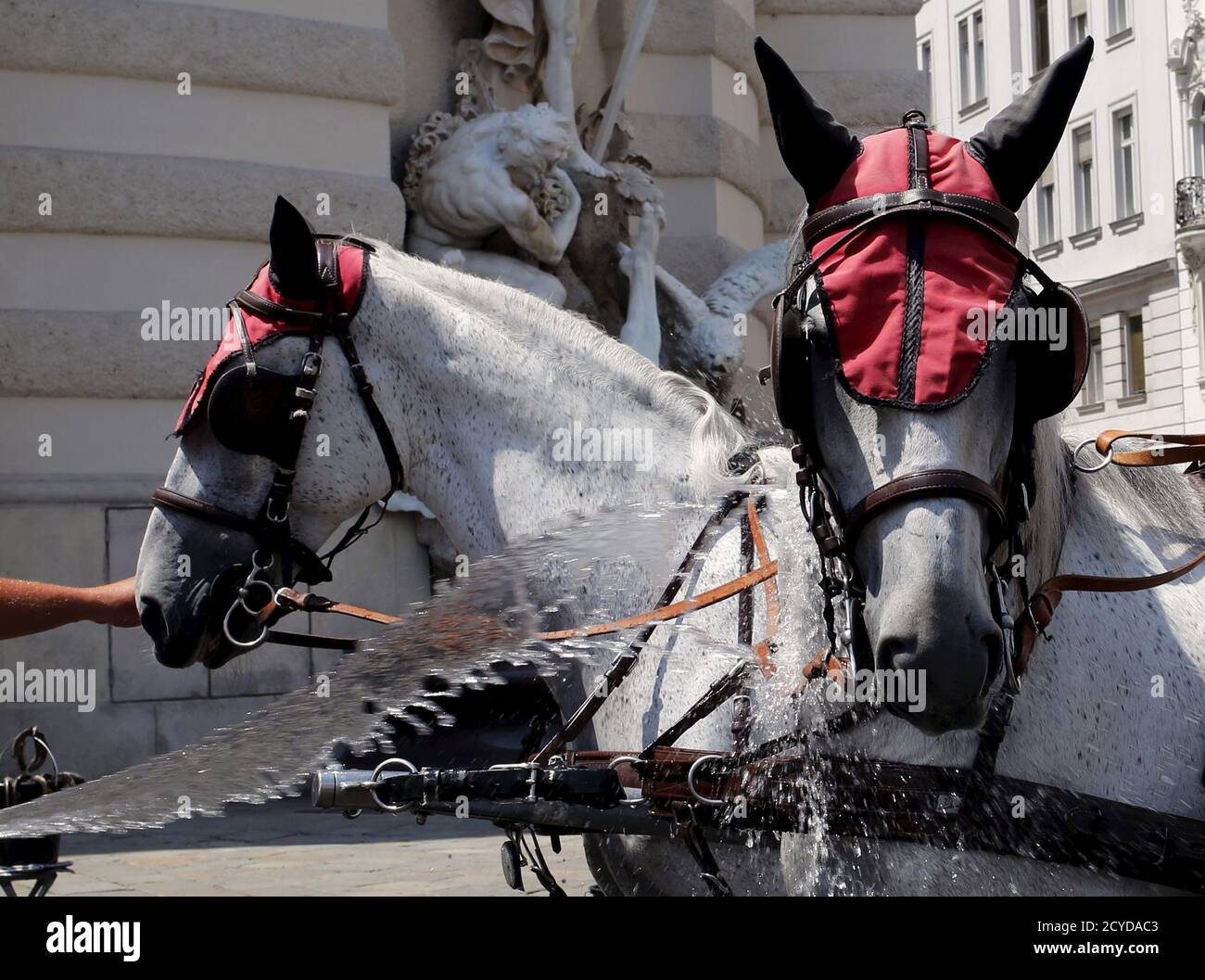 Fiaker vor der hofburg -Fotos und -Bildmaterial in hoher Auflösung – Alamy