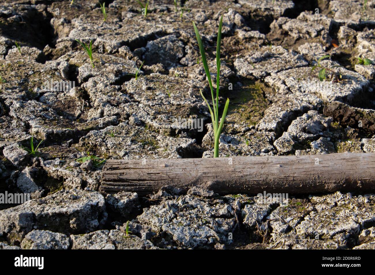 Seeerosion -Fotos und -Bildmaterial in hoher Auflösung – Alamy