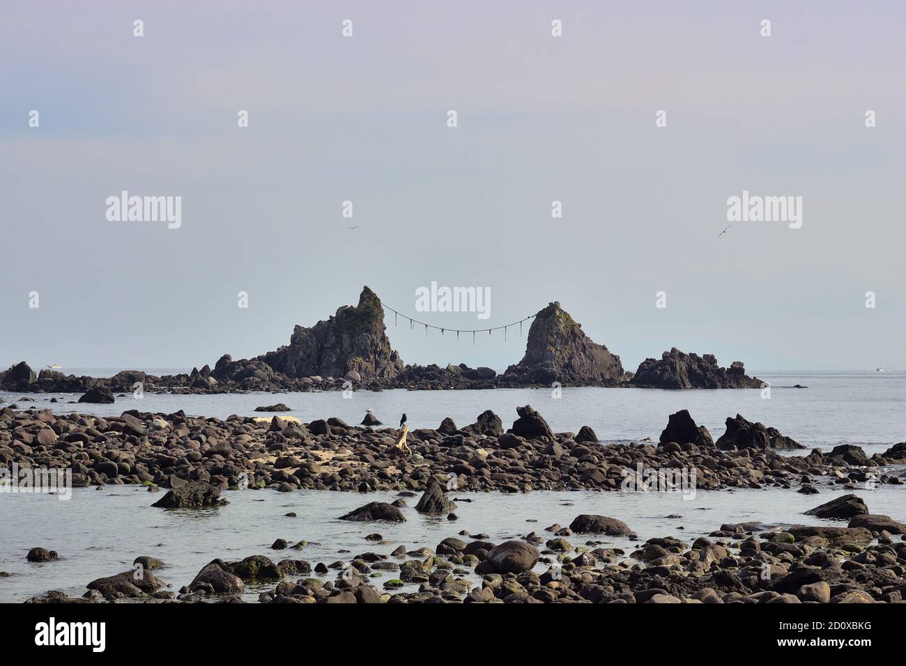 Kap manazuru -Fotos und -Bildmaterial in hoher Auflösung – Alamy