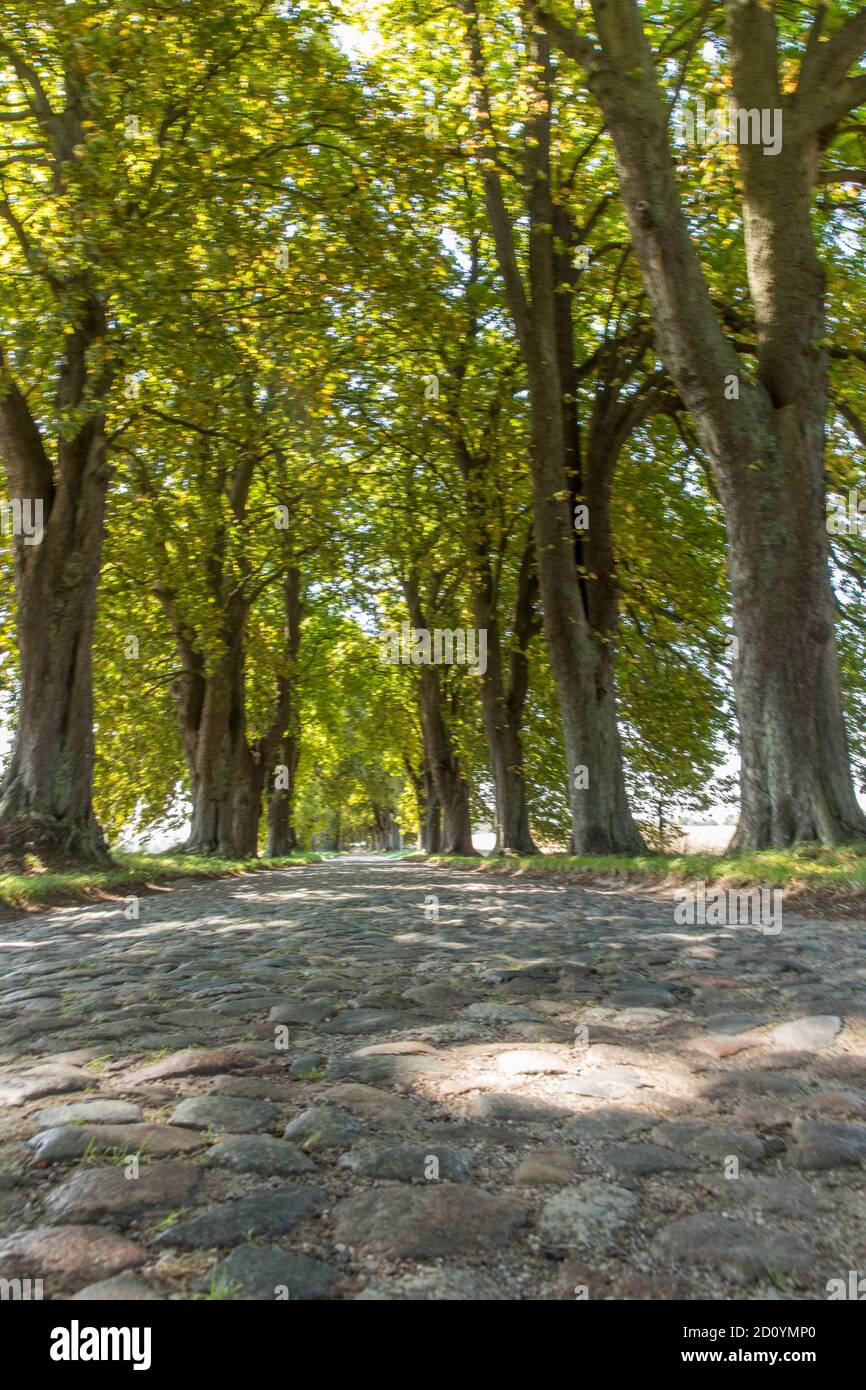 Stone island of ruegen -Fotos und -Bildmaterial in hoher Auflösung – Alamy