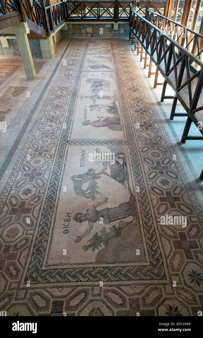 Haus von Dionysos, Paphos: Raum 16 vier Tafelmosaik bestehend aus ...