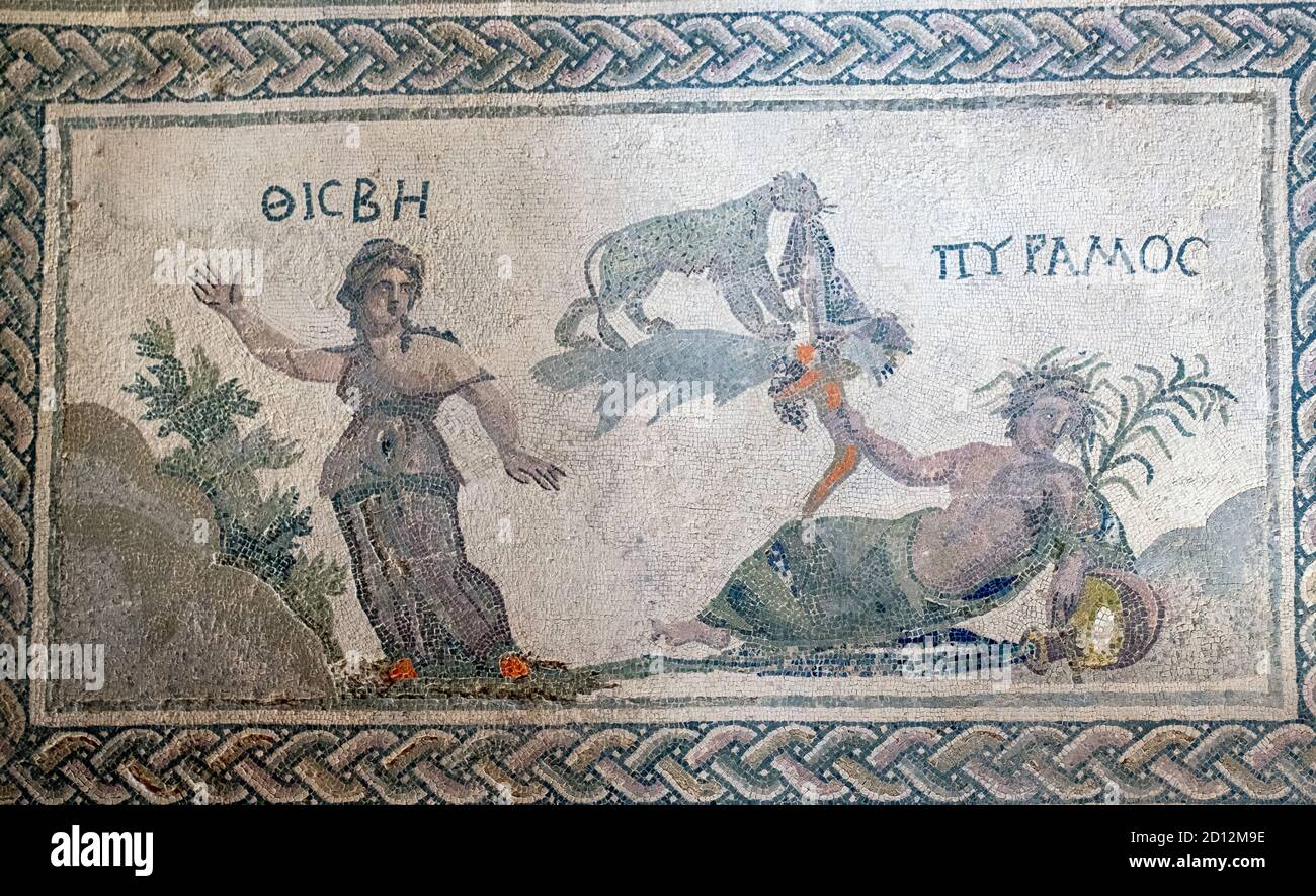 Dionysos mosaic -Fotos und -Bildmaterial in hoher Auflösung – Alamy