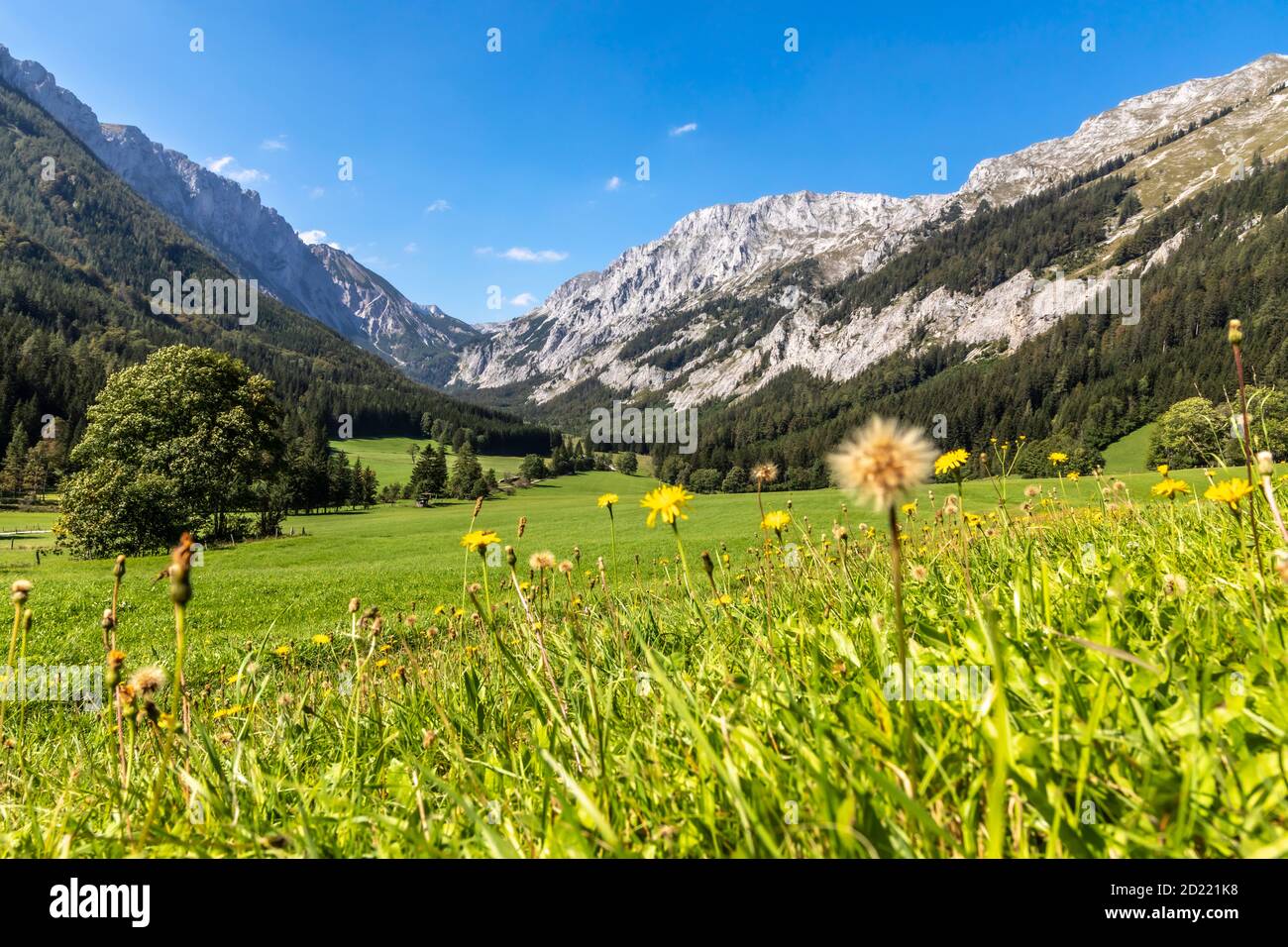 Seeberg spitze -Fotos und -Bildmaterial in hoher Auflösung – Alamy