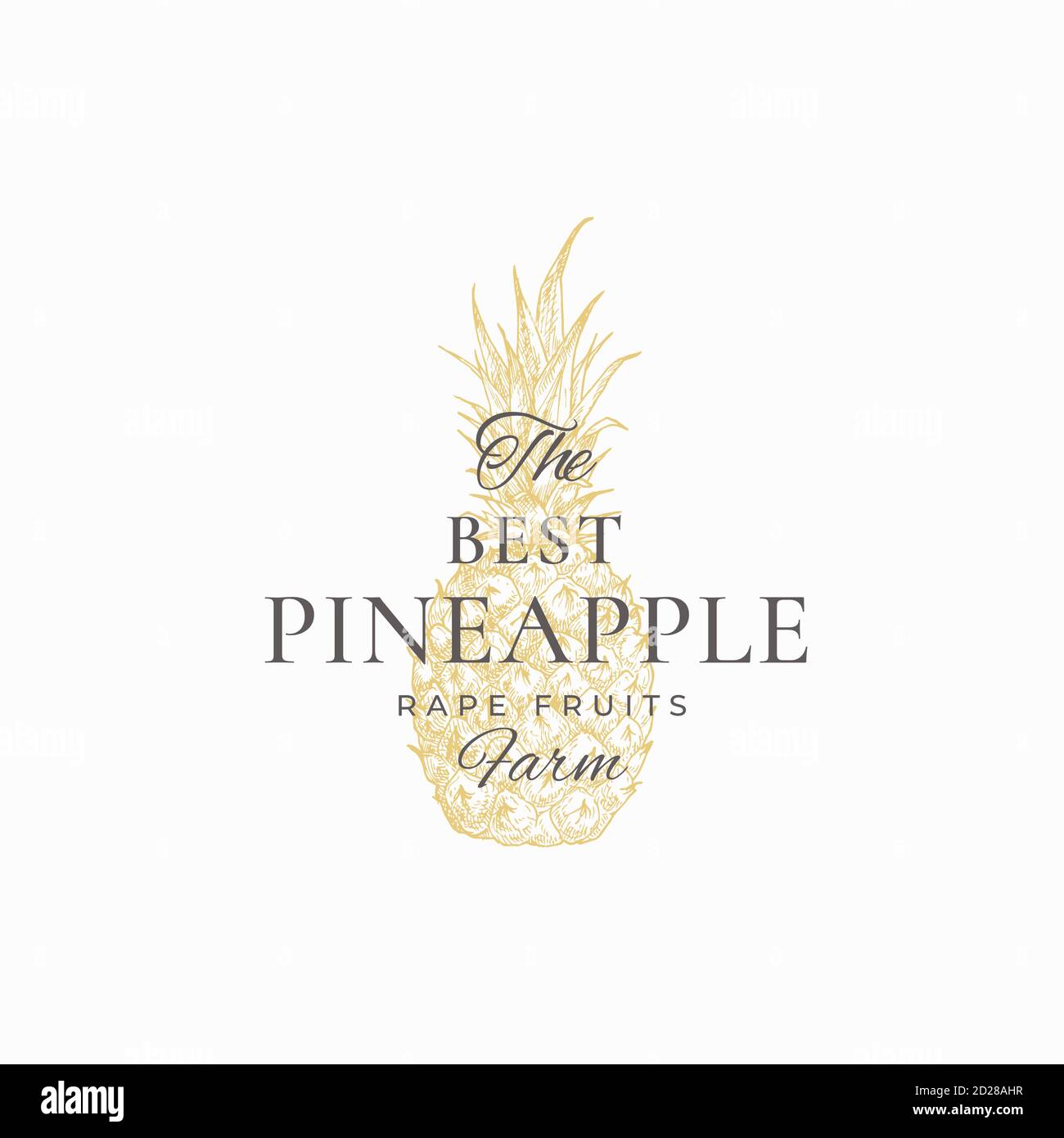 Ananas Farms Abstract Vektor-Zeichen, Symbol oder Logo-Vorlage ...