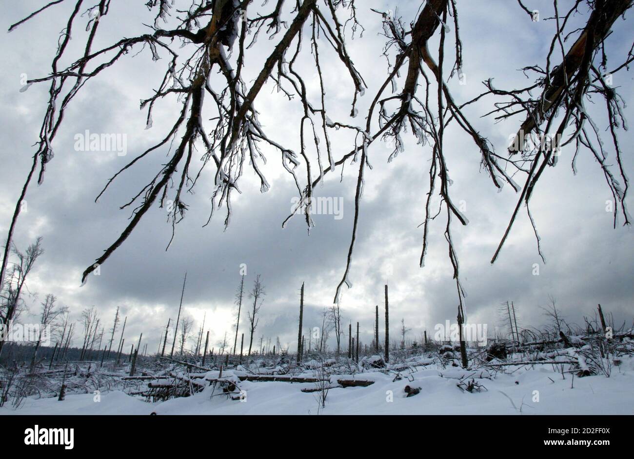 Lothar Storm Stockfotos und -bilder Kaufen - Alamy