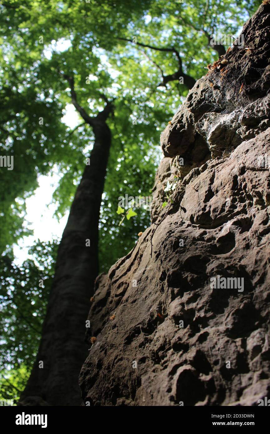 Hemer felsenmeer -Fotos und -Bildmaterial in hoher Auflösung – Alamy