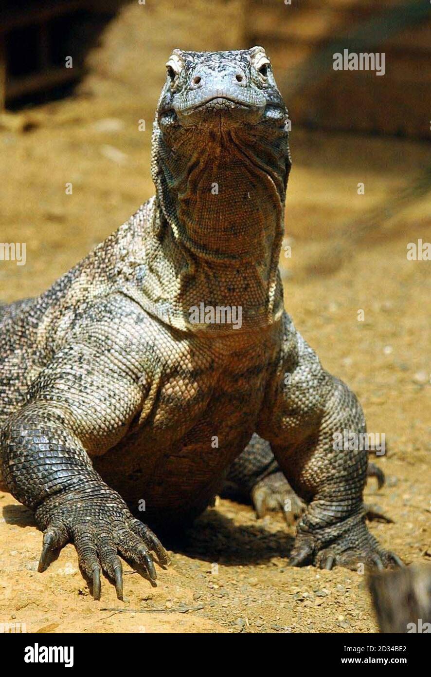 Frankreich thiry zoo -Fotos und -Bildmaterial in hoher Auflösung – Alamy