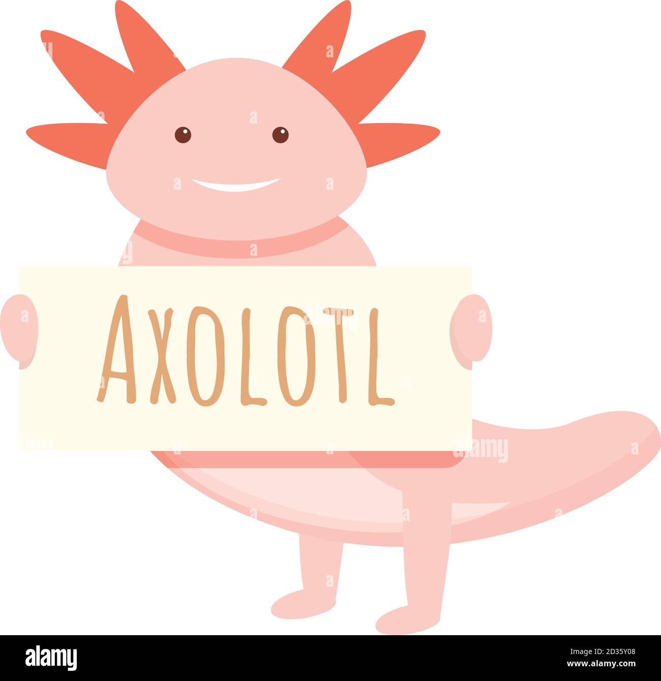 Axolotl Tier Banner-Symbol. Cartoon von axolotl Tier Banner Vektor ...