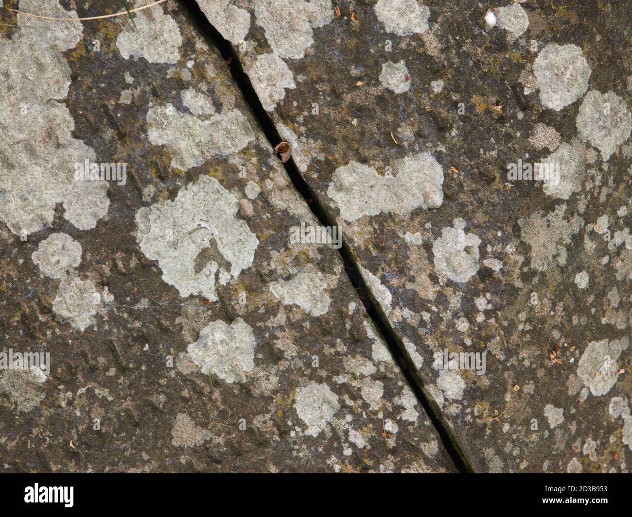 Riss im stein -Fotos und -Bildmaterial in hoher Auflösung – Alamy