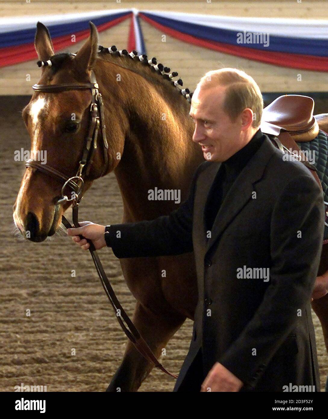 Russian President Vladimir Putin Riding Stockfotos und -bilder Kaufen ...