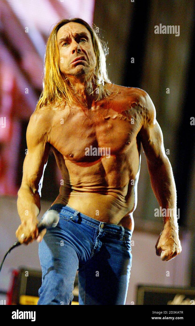 Iggy pop band iggy stooges -Fotos und -Bildmaterial in hoher Auflösung ...