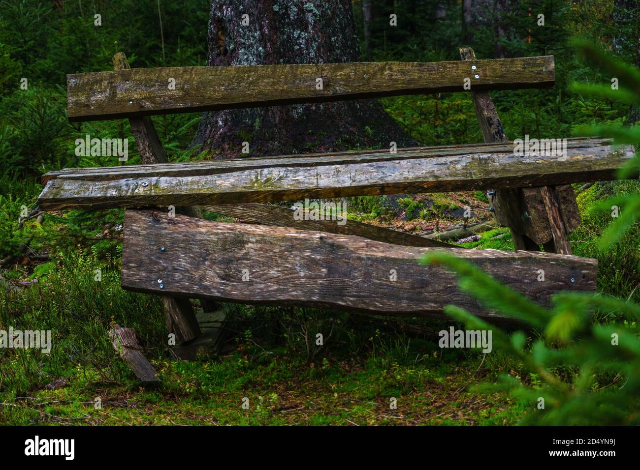 Waldweg mit holzbank -Fotos und -Bildmaterial in hoher Auflösung – Alamy