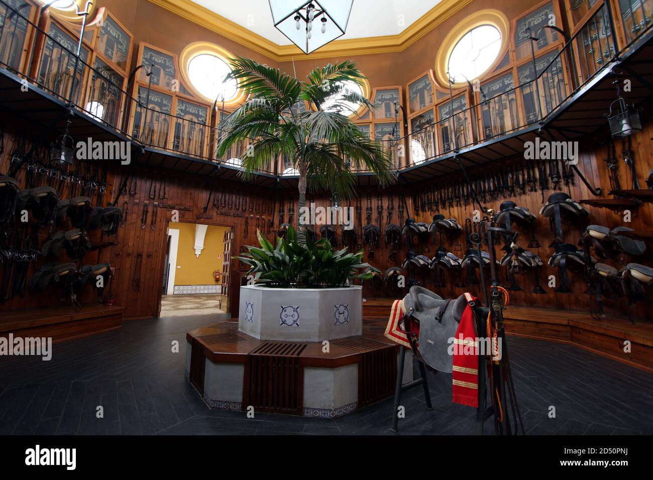 Königliche spanische reitschule -Fotos und -Bildmaterial in hoher ...