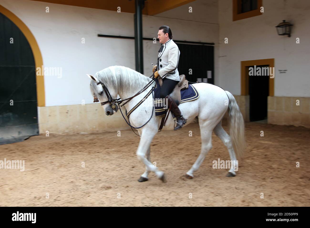 Spanische hofreitschule -Fotos und -Bildmaterial in hoher Auflösung ...