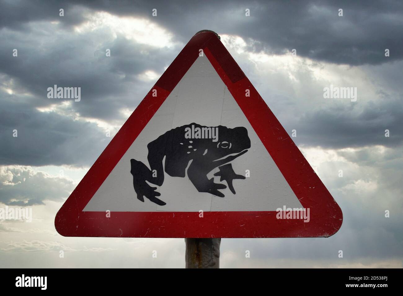 Frog road sign -Fotos und -Bildmaterial in hoher Auflösung – Alamy