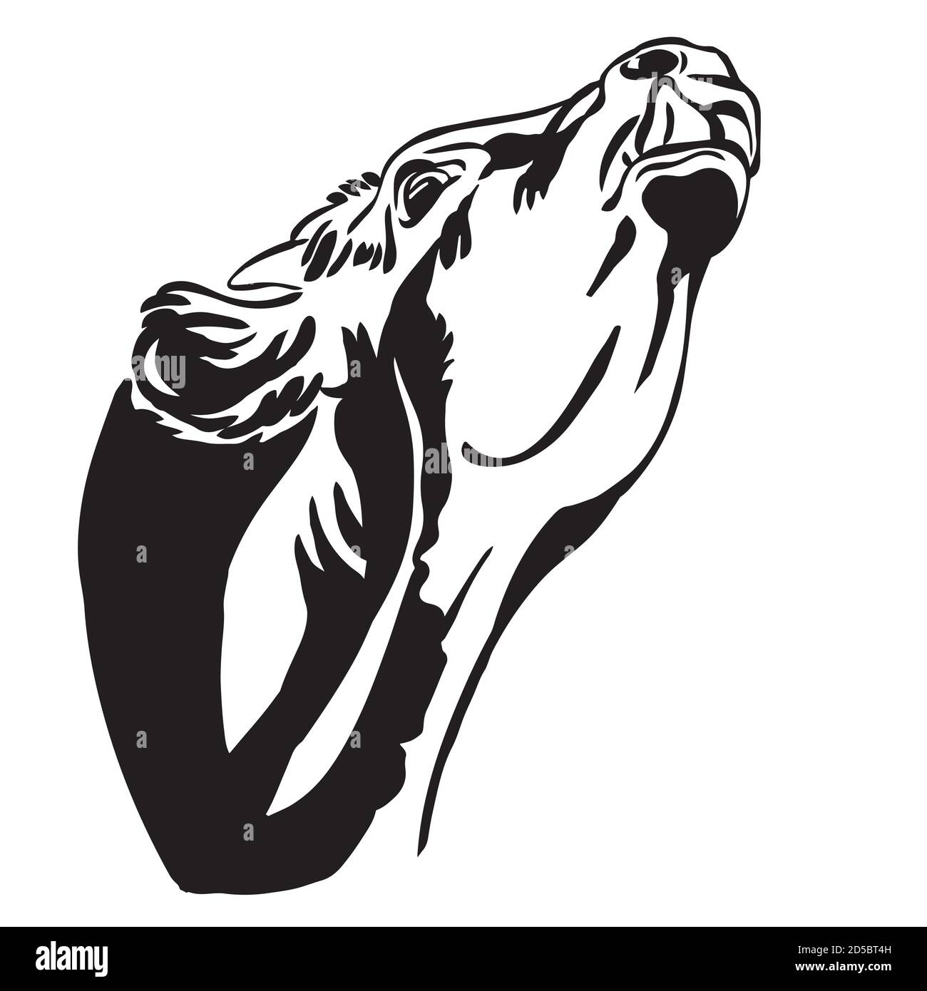 Dekorative lustige Porträt von Stier Vektor-Illustration in schwarzer ...