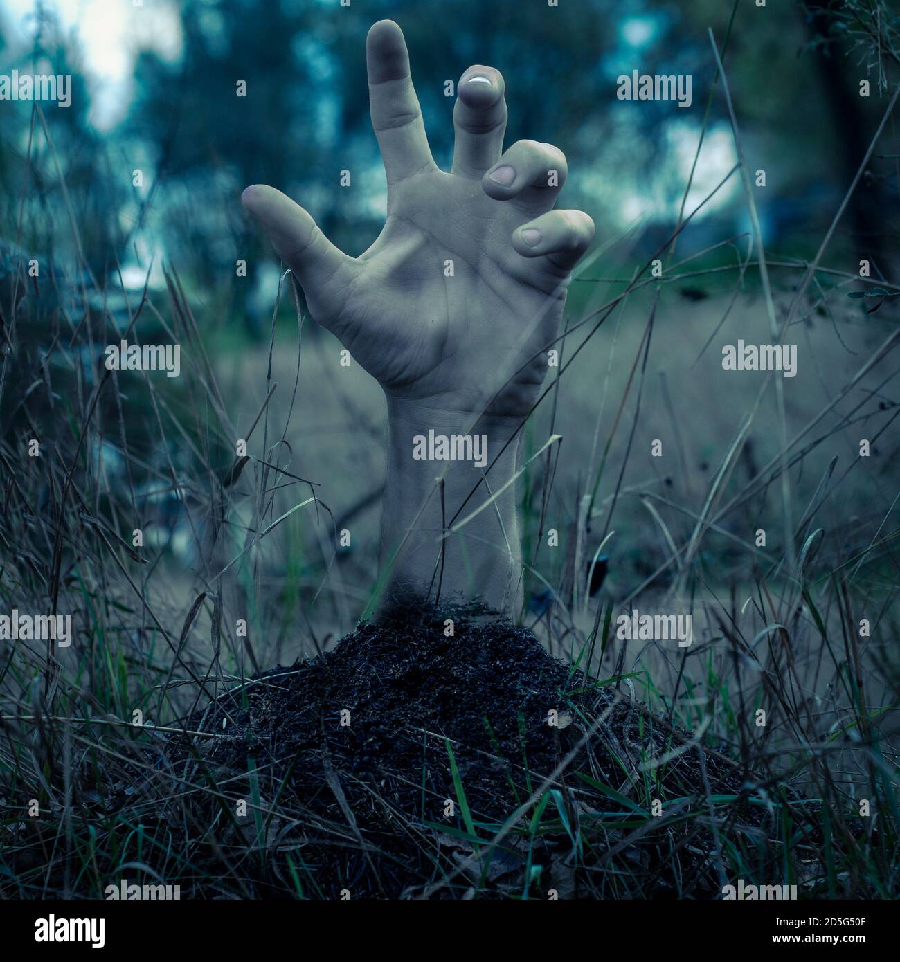 Ein Zombie stieg aus dem Grab, eine Zombie-Hand aus dem Boden ...