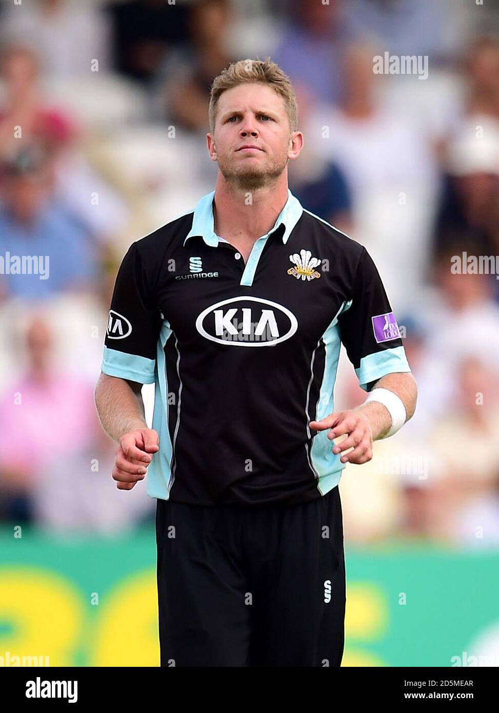 Surreys stuart meaker -Fotos und -Bildmaterial in hoher Auflösung – Alamy