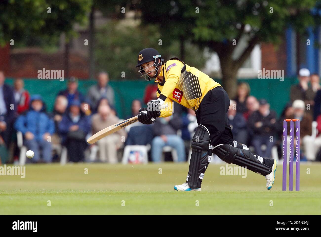 Will bier -Fotos und -Bildmaterial in hoher Auflösung – Alamy