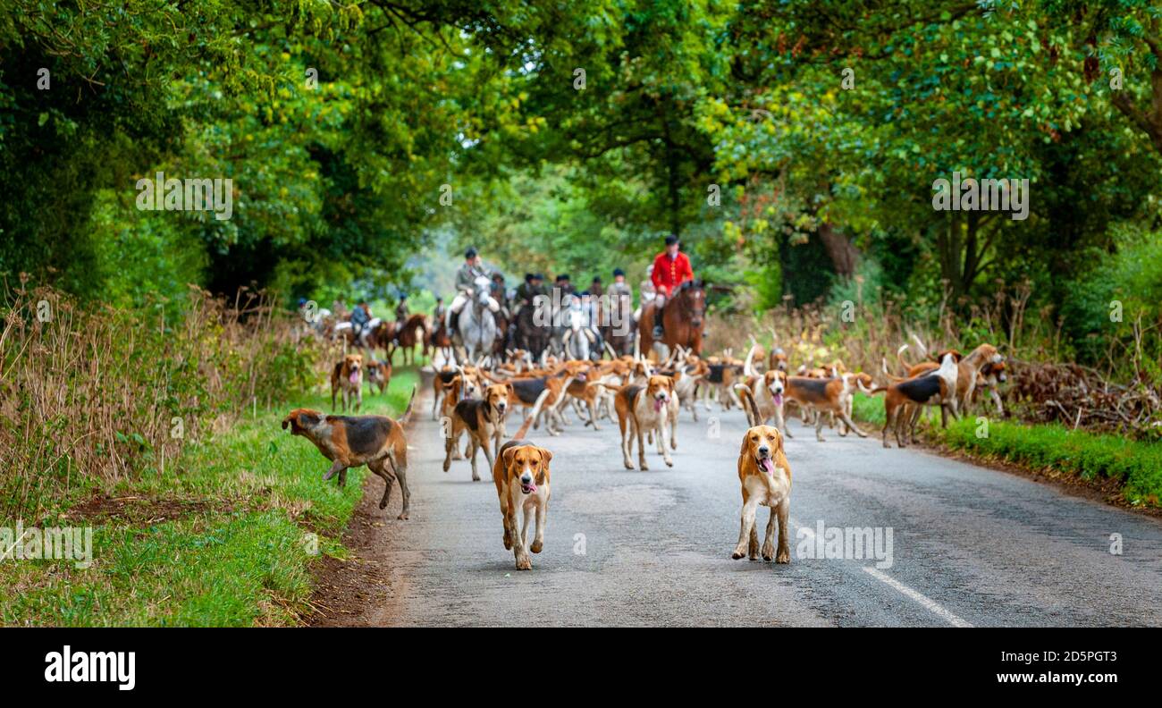 Castle Hunting Stockfotos und -bilder Kaufen - Alamy