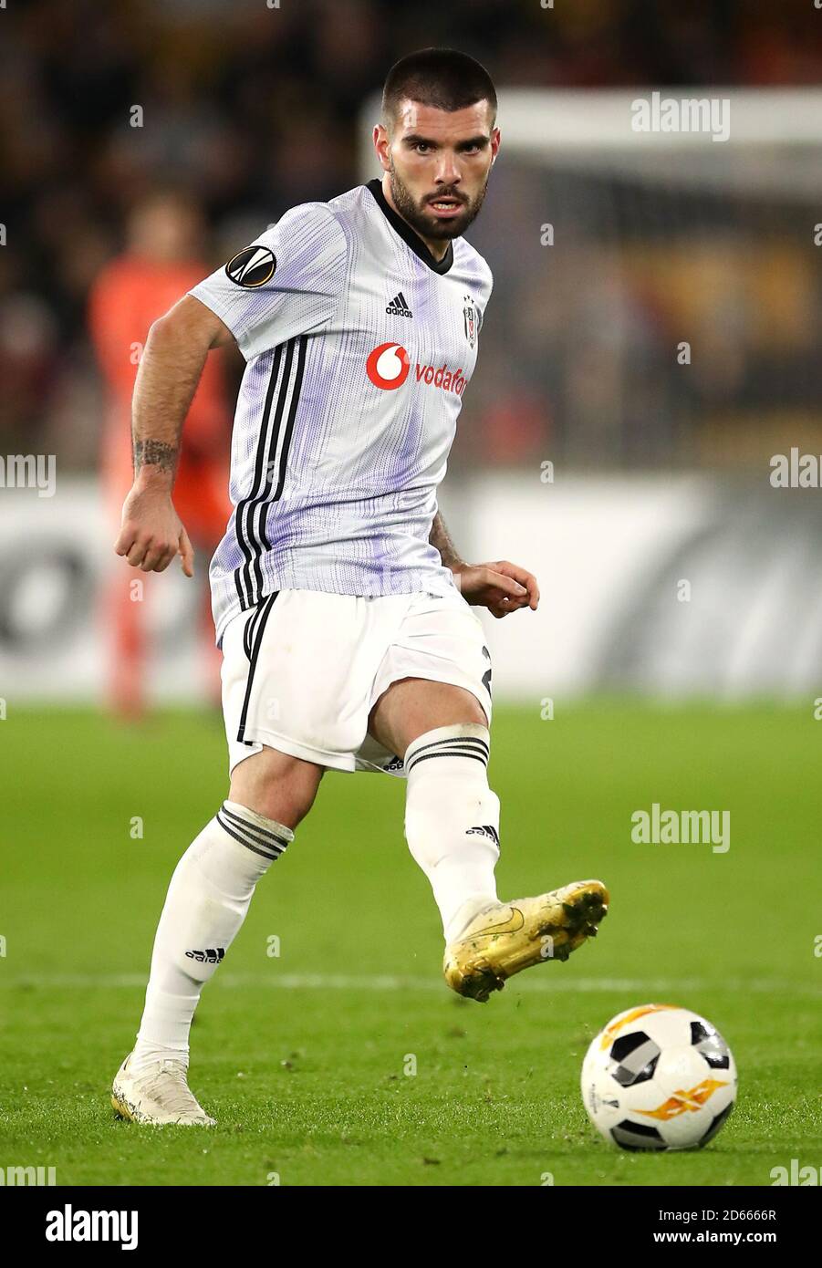 Pedro rebocho -Fotos und -Bildmaterial in hoher Auflösung – Alamy