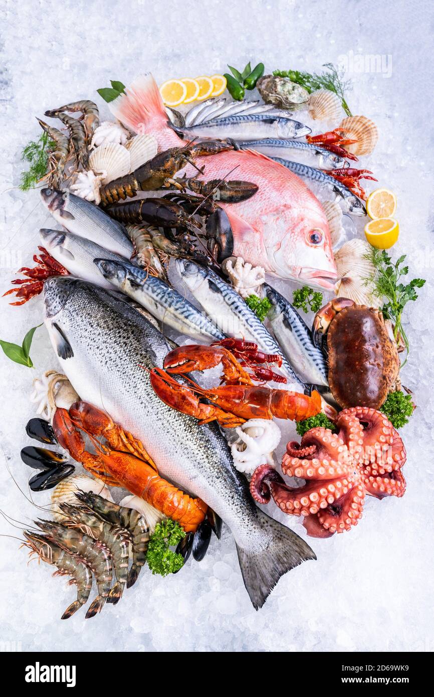 Frischer Lachs Auf Eis Stockfotos und -bilder Kaufen - Alamy