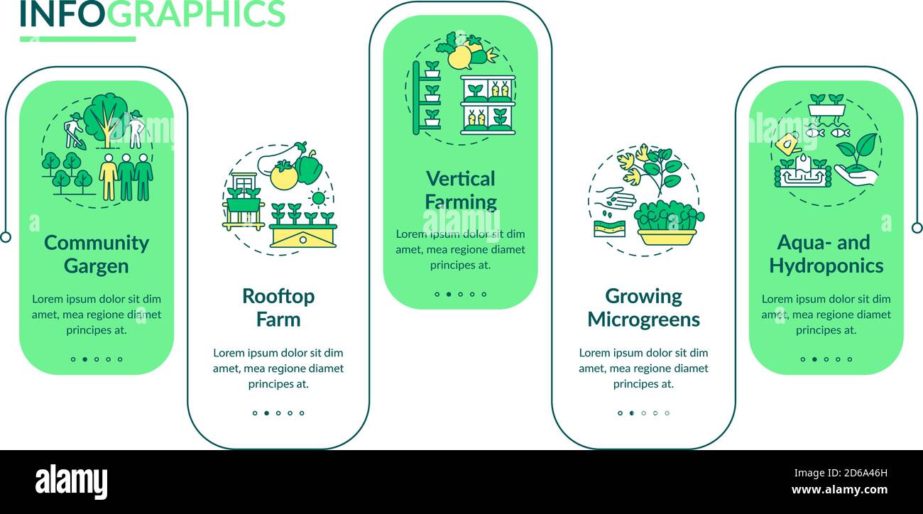 Infografik-Vorlage für Urban Farming-Vektor Stock-Vektorgrafik - Alamy