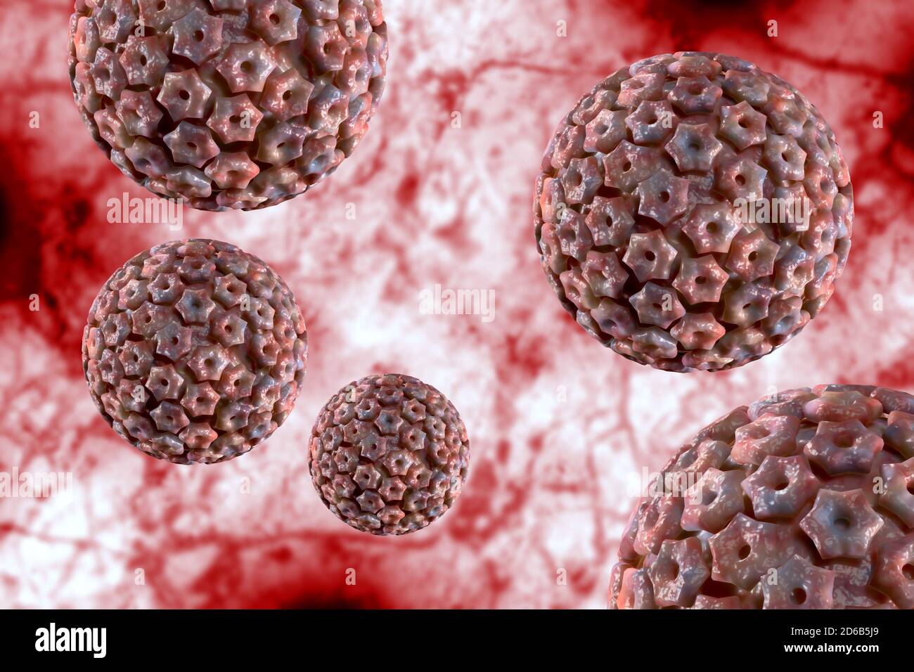 Herpes Simplex Virus 2 Stockfotos und -bilder Kaufen - Alamy