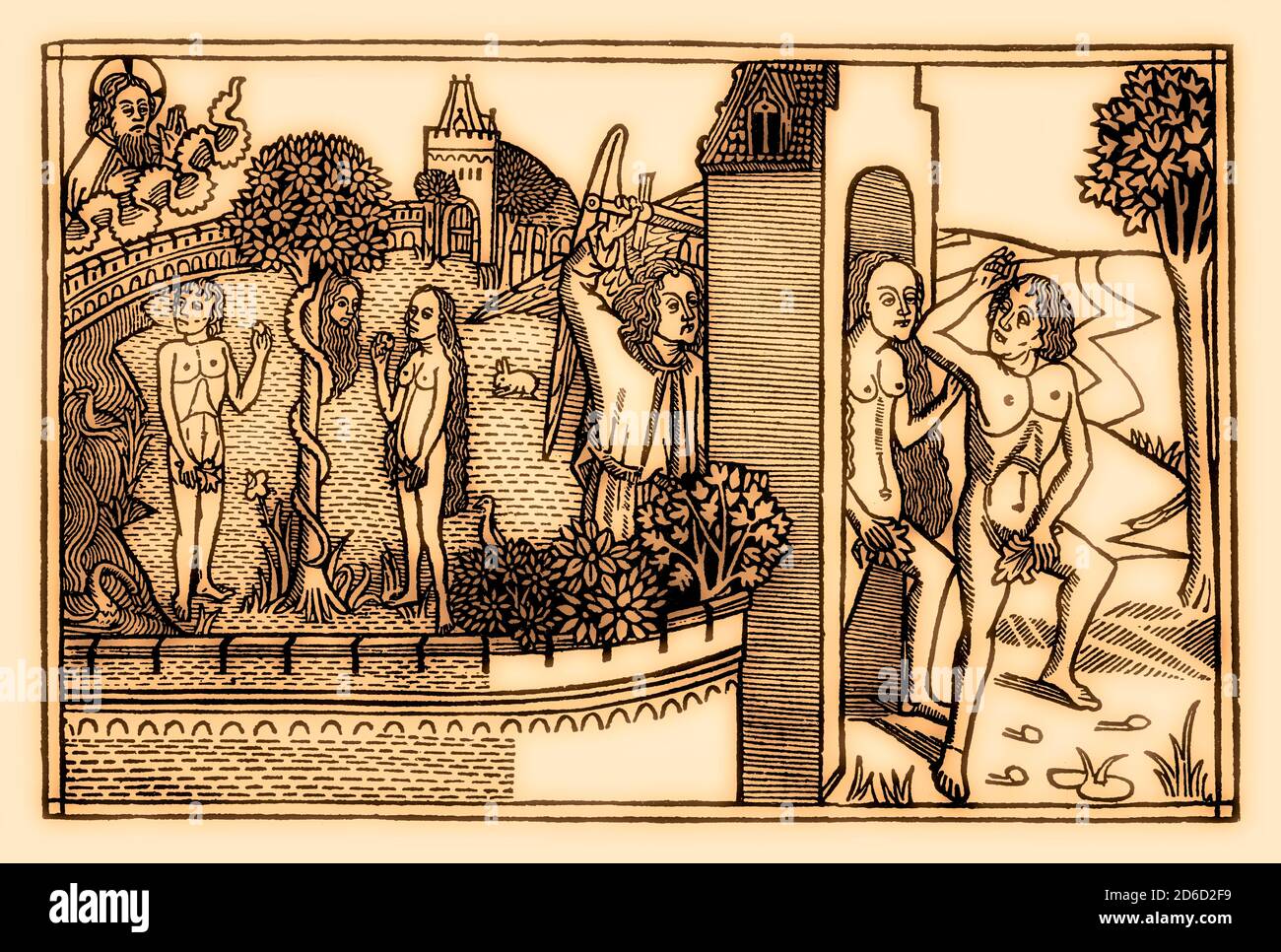 Heiliger adam baum -Fotos und -Bildmaterial in hoher Auflösung – Alamy