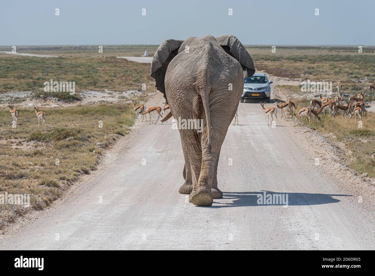 Safari Auto Mit Touristen Im Hintergrund Stockfotos und -bilder Kaufen ...