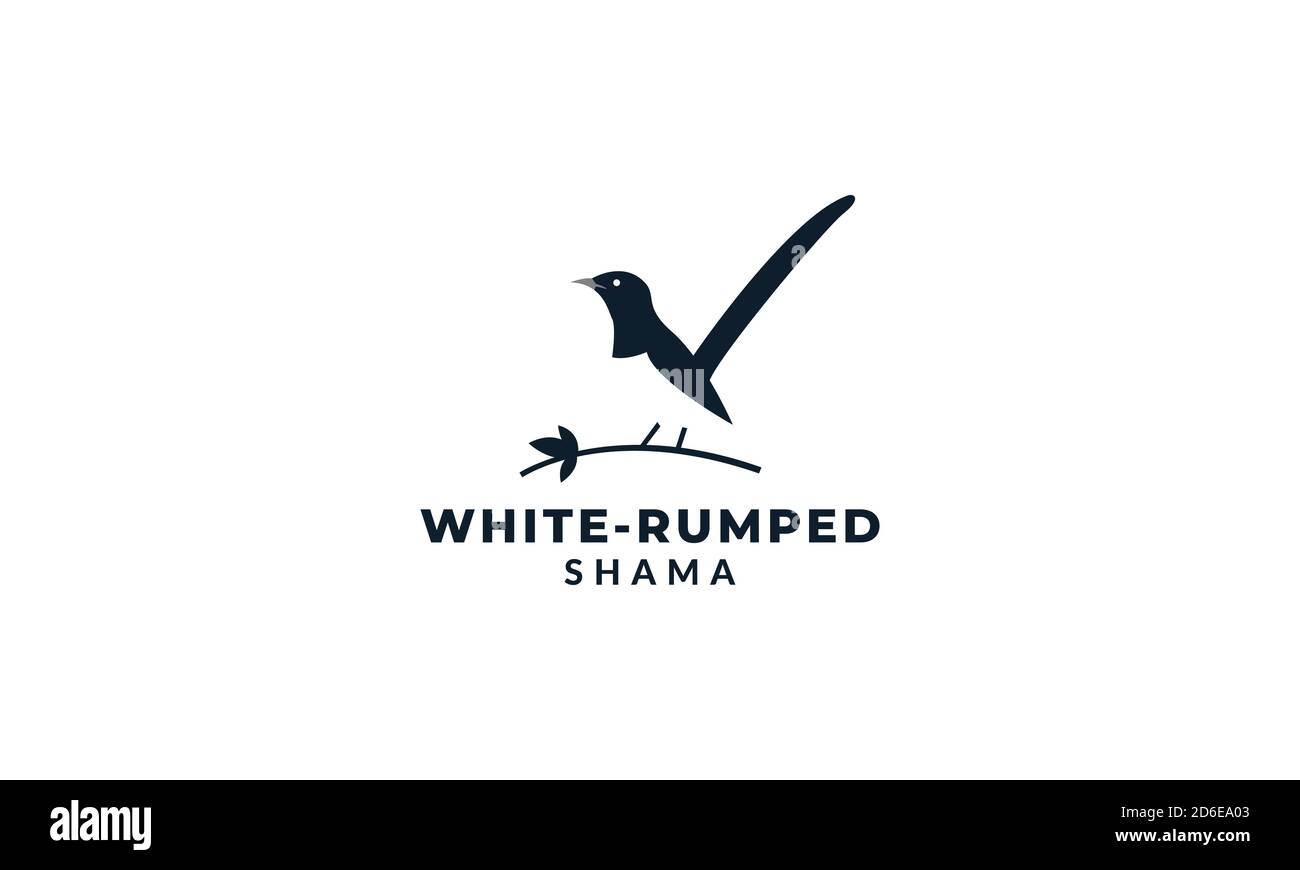 Weiß rumped shama Stock-Vektorgrafiken kaufen - Alamy