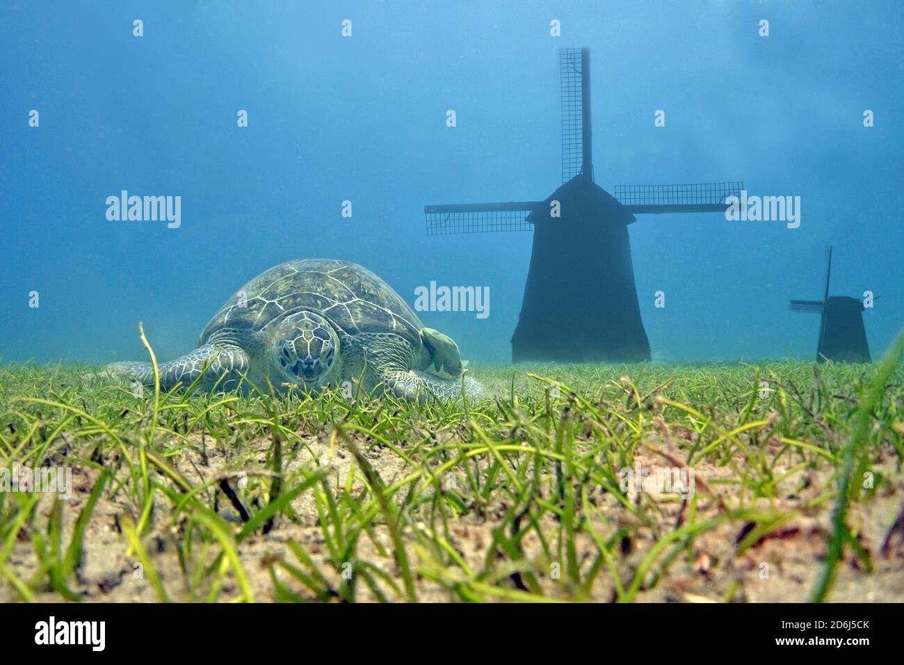 Steigende meeresspiegel -Fotos und -Bildmaterial in hoher Auflösung – Alamy