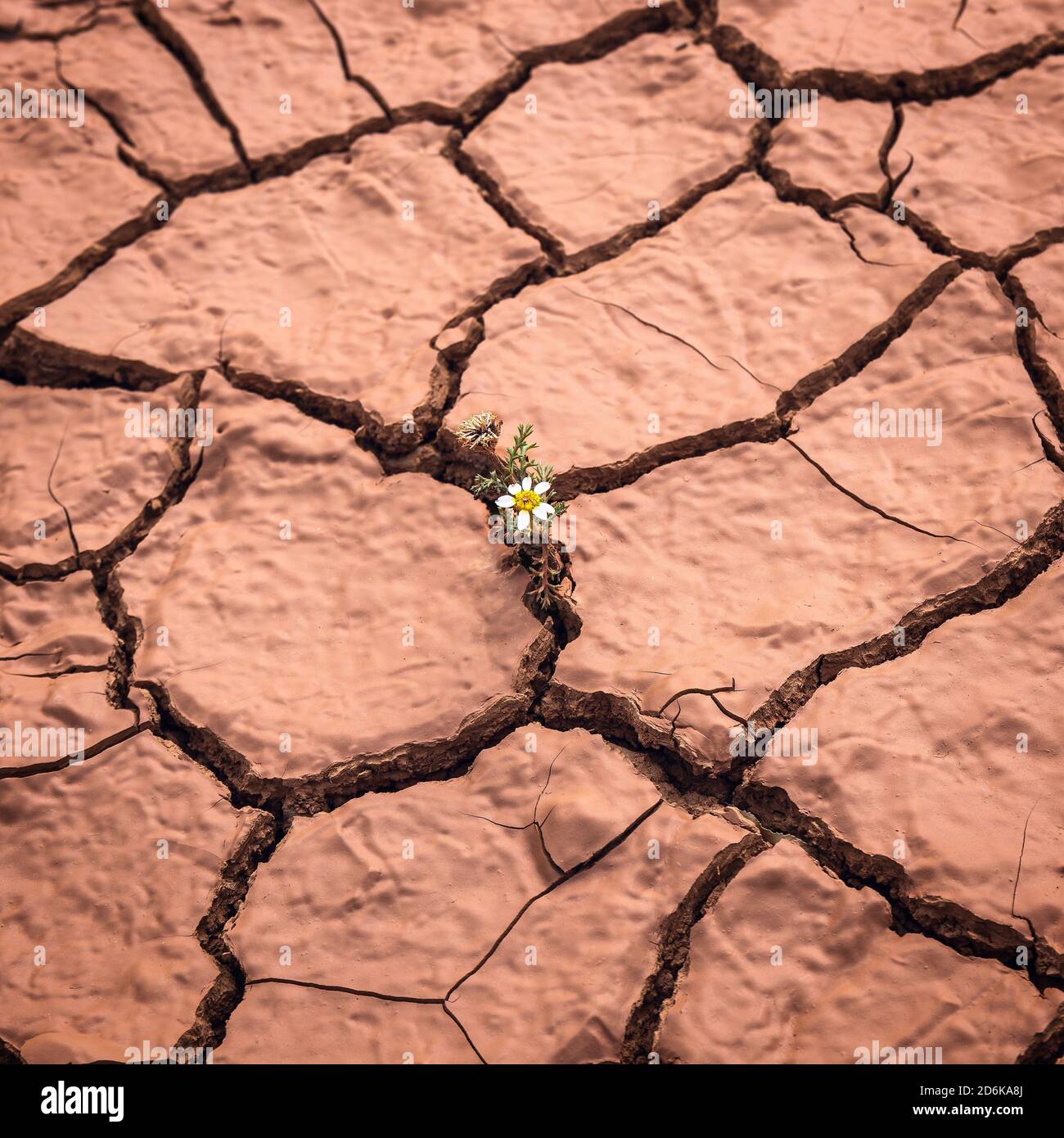 Rissiger Brauner Boden Stockfotos und -bilder Kaufen - Alamy
